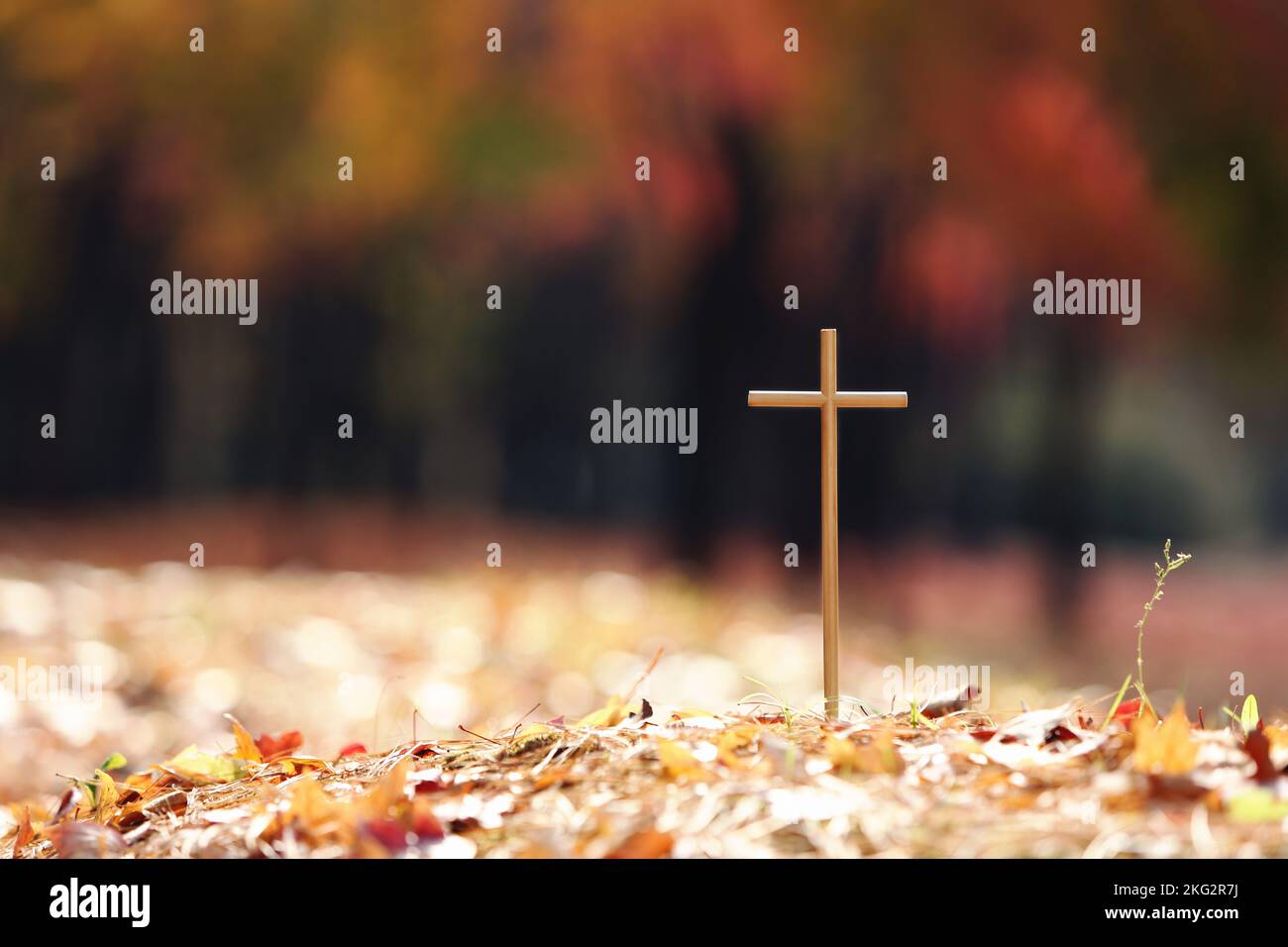 Crucifixion of Jesus Christ on a pile of fallen leaves in a beautiful ...