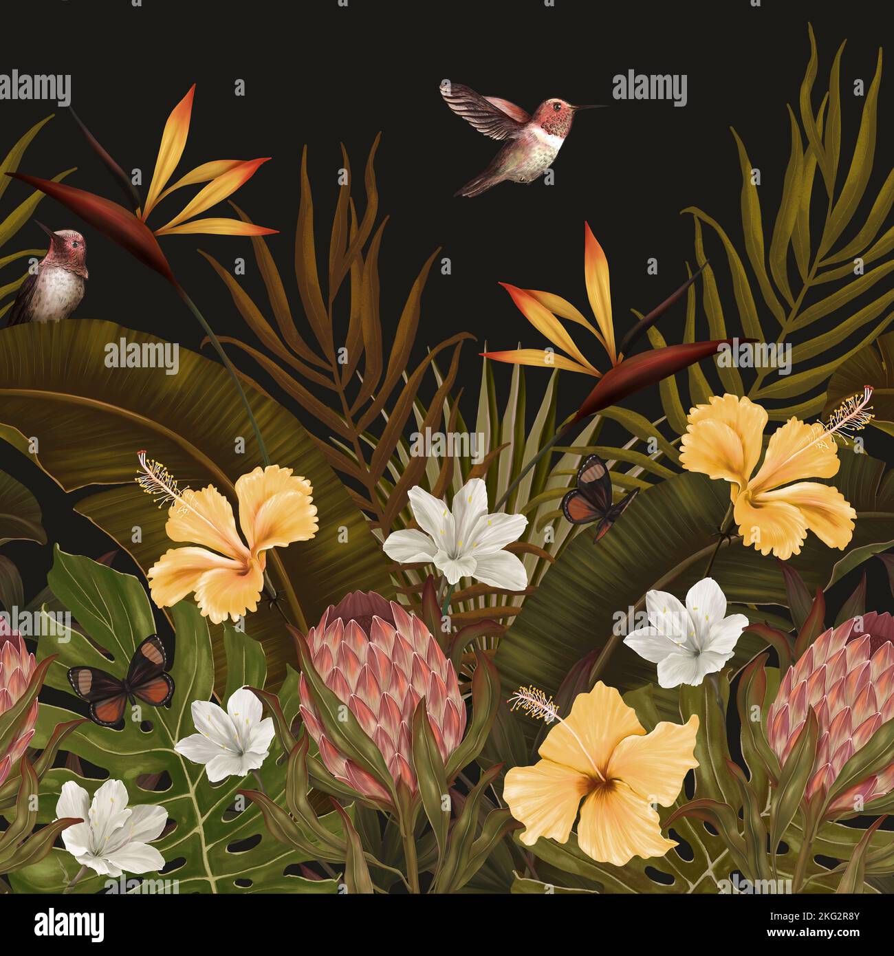 Vintage dark tropical background with protea, hibiscus flowers, leaves ...