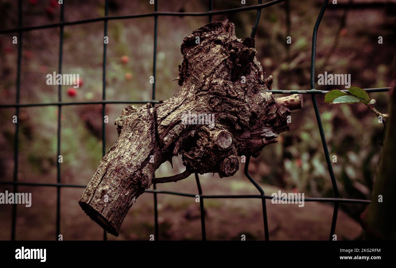 A closeup of a large wooden branch stuck in a metal fence Stock Photo ...