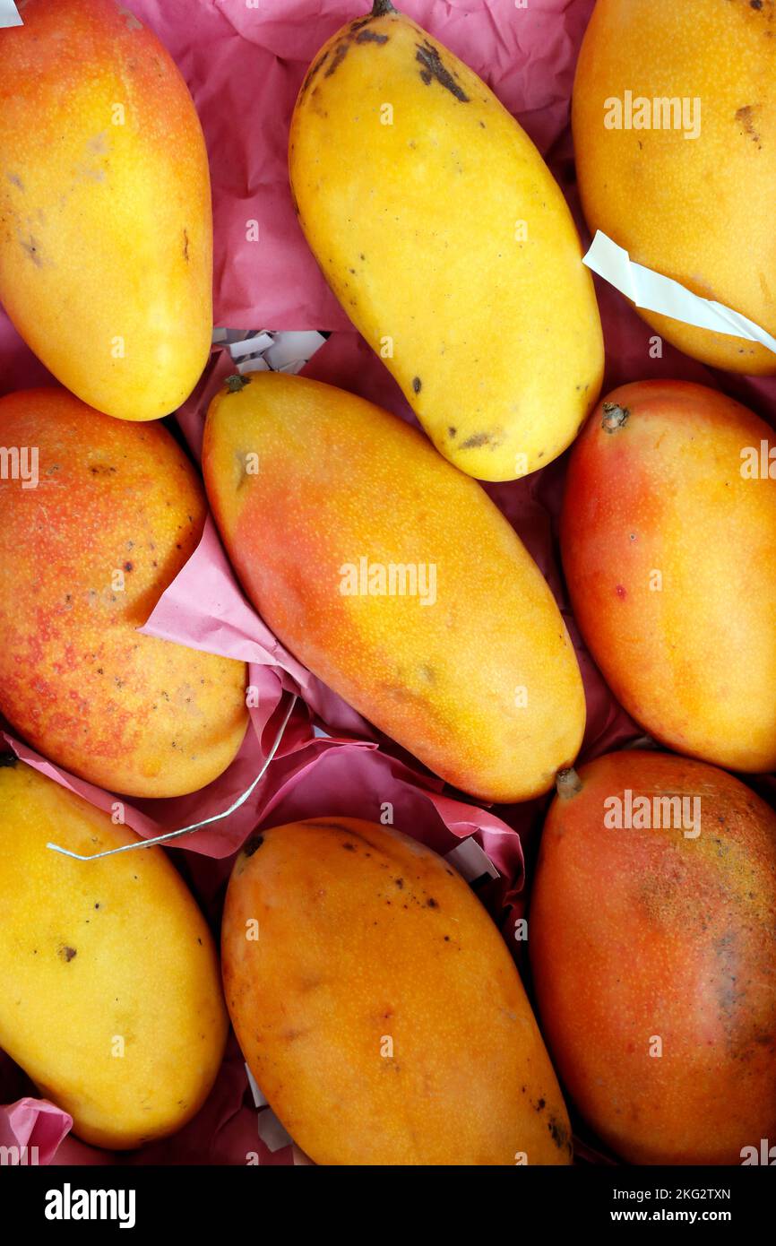 Fruit market. Full Frame Shot Of Mangoes For Sale United Arab Emirates ...