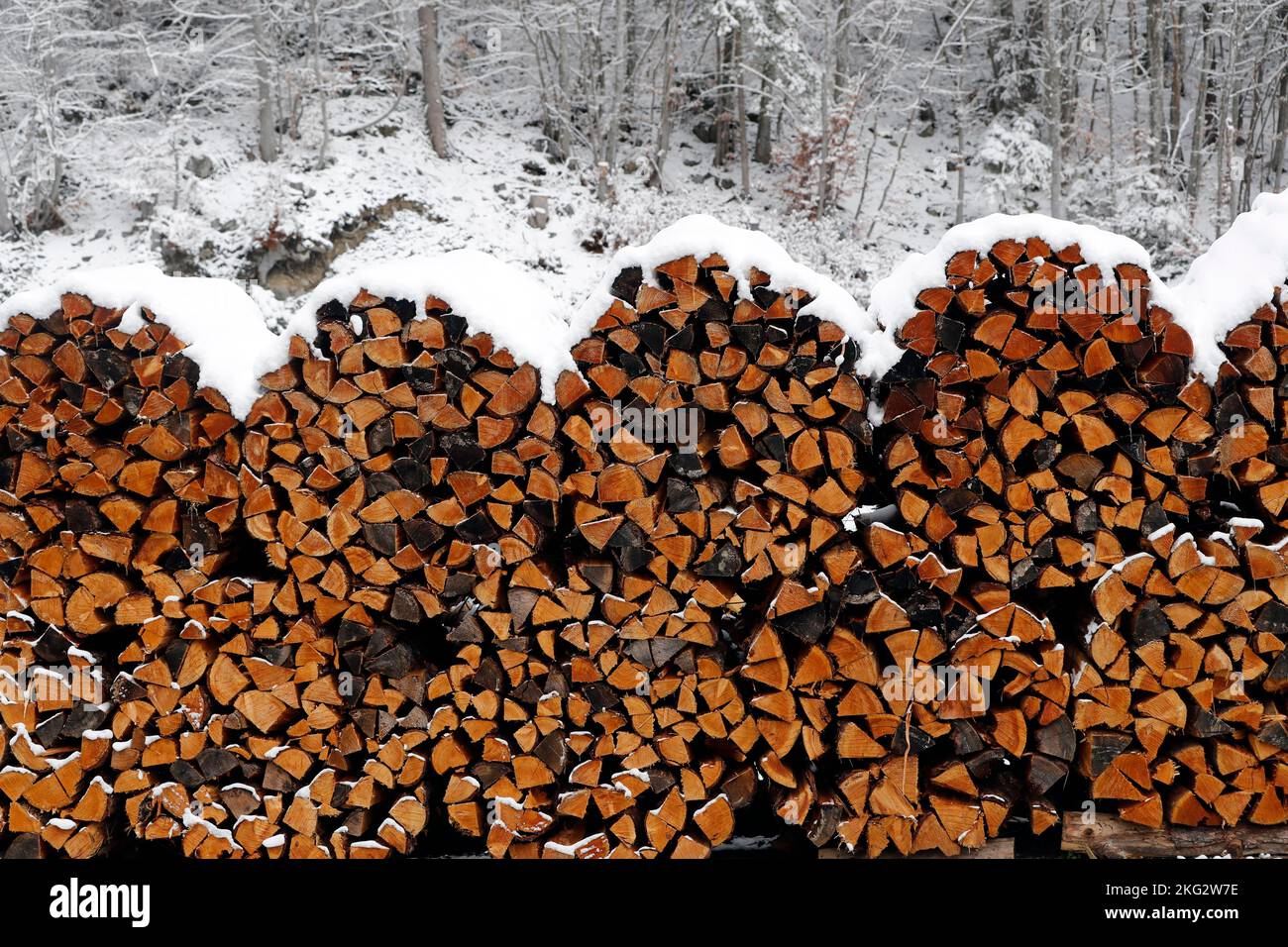 Fire wood pile with split logs under winter snow. Switzerland Stock ...