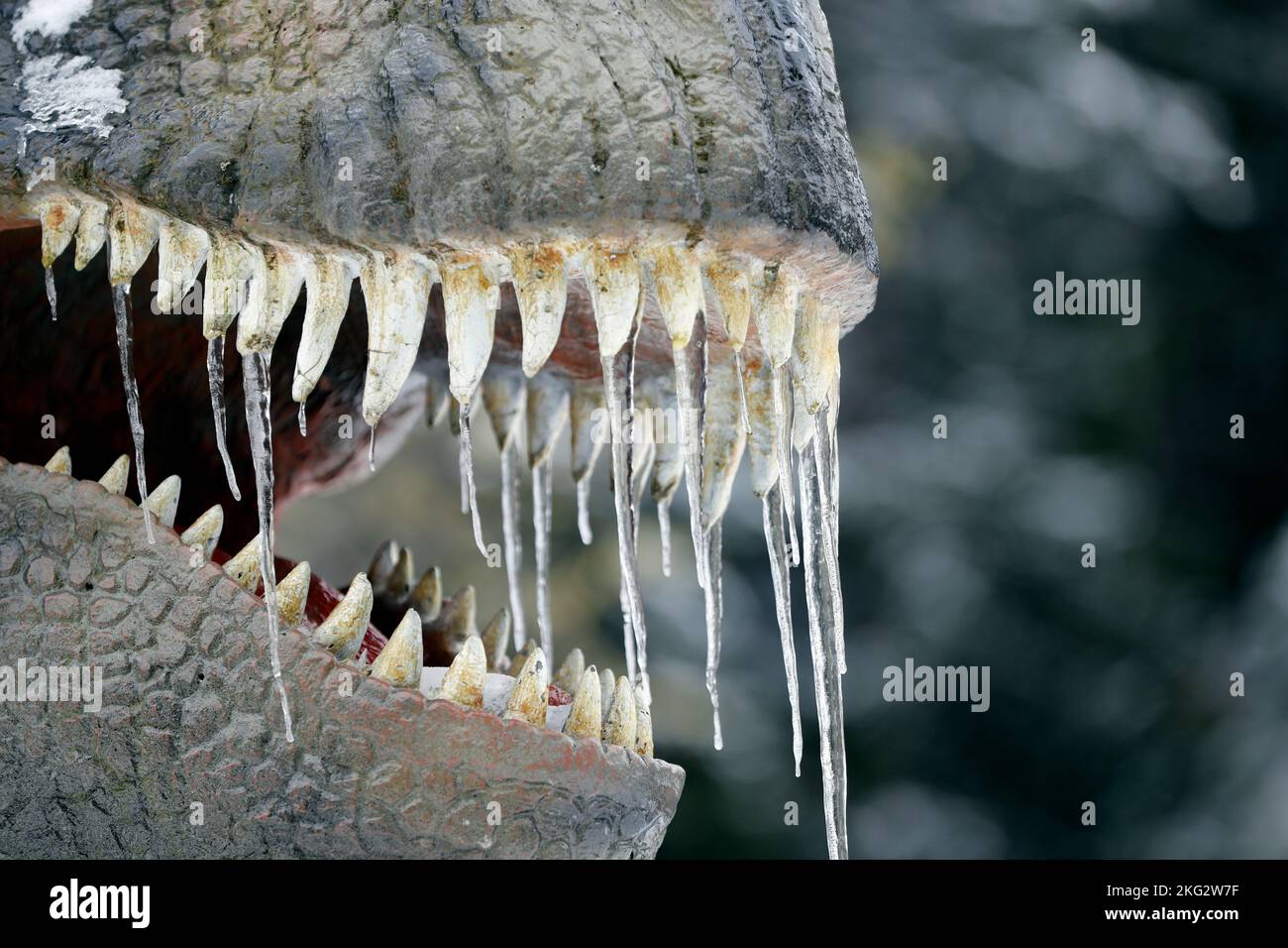 Frozen dinosaur in winter. Switzerland Stock Photo - Alamy