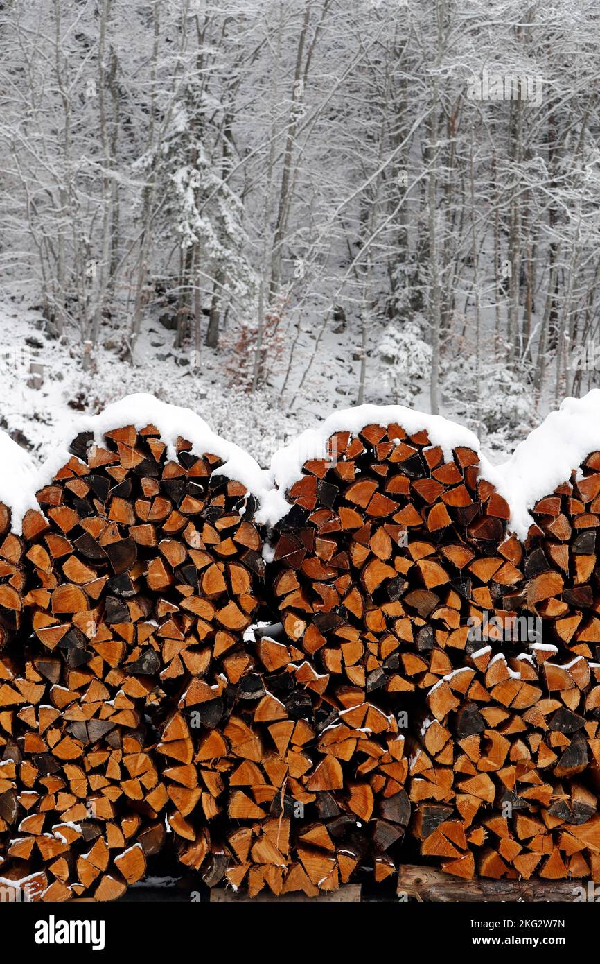 Fire wood pile with split logs under winter snow. Switzerland Stock ...