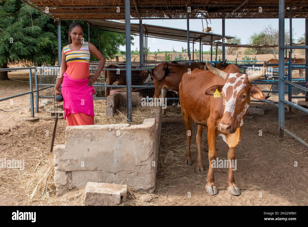Senegal woman farming hi-res stock photography and images - Alamy