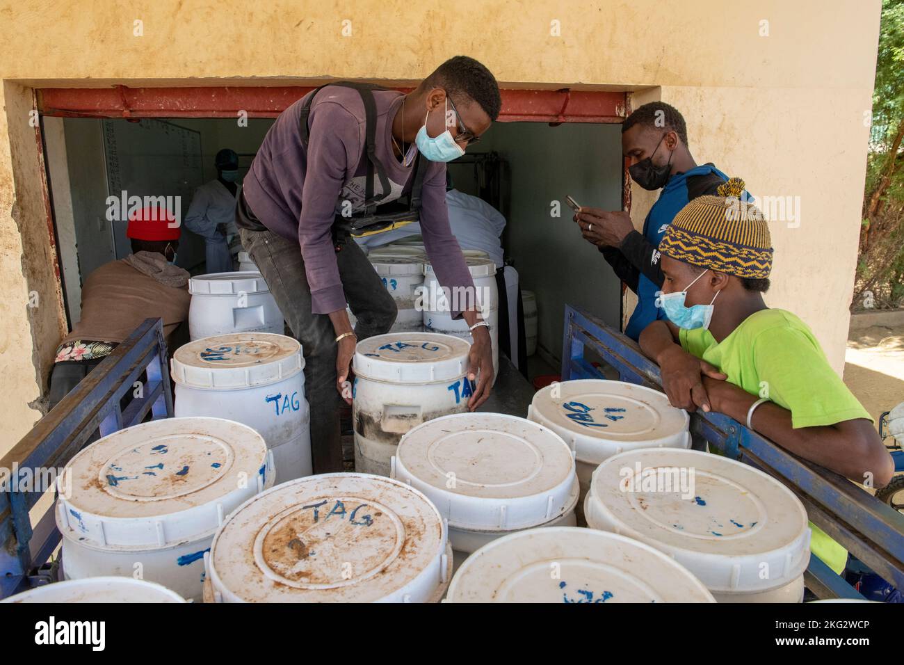 Delivery of the morning milk collection at the Laiterie du Berger ...