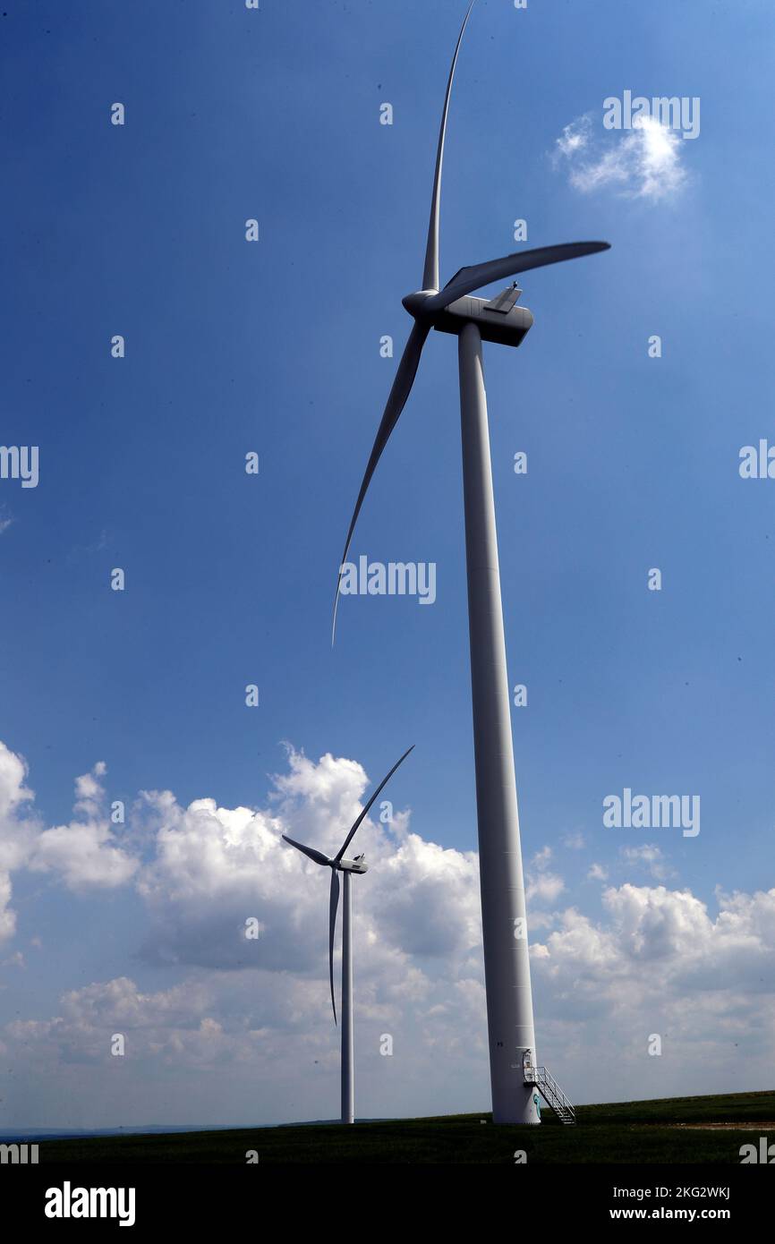 Wind power provide the mechanical power through wind turbines to turn ...