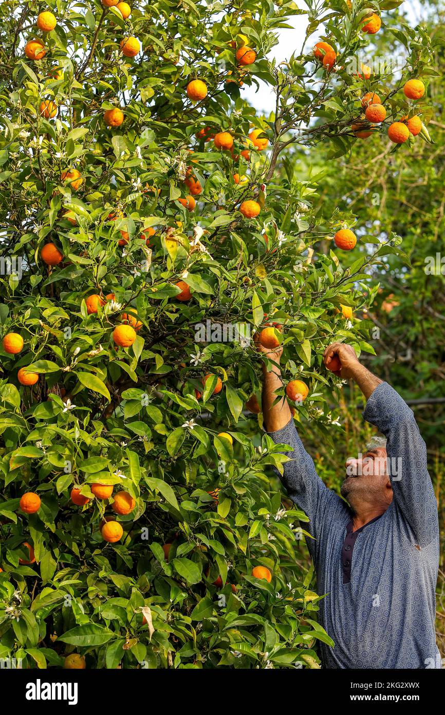 Beit chabab hi-res stock photography and images - Alamy
