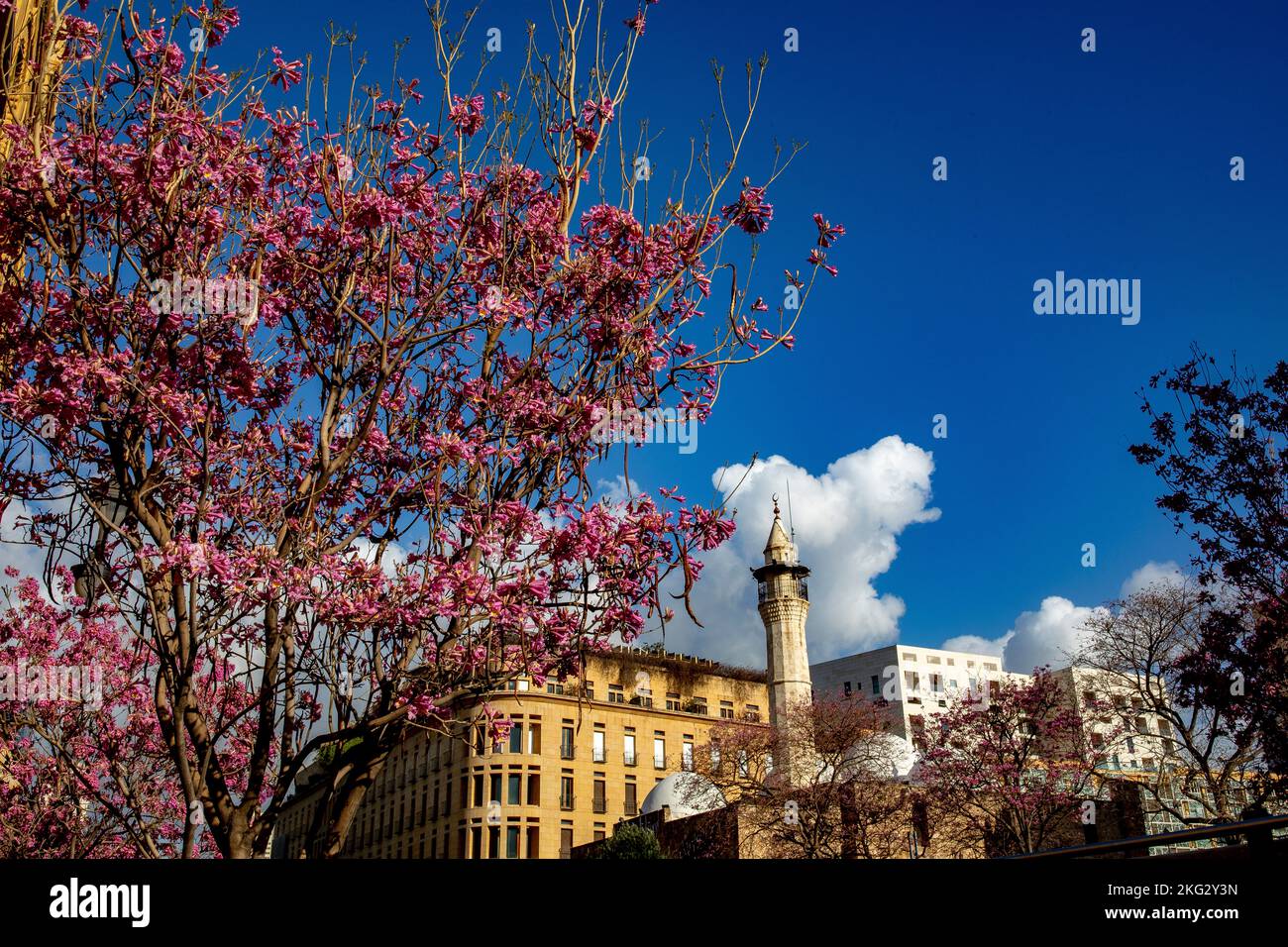 Spring time in Beirut, Lebanon Stock Photo - Alamy