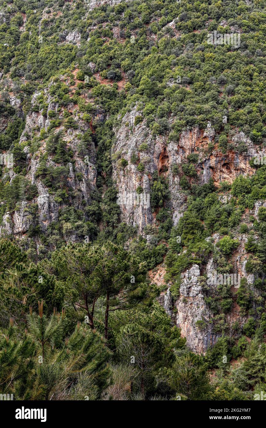 Kadisha hi-res stock photography and images - Alamy