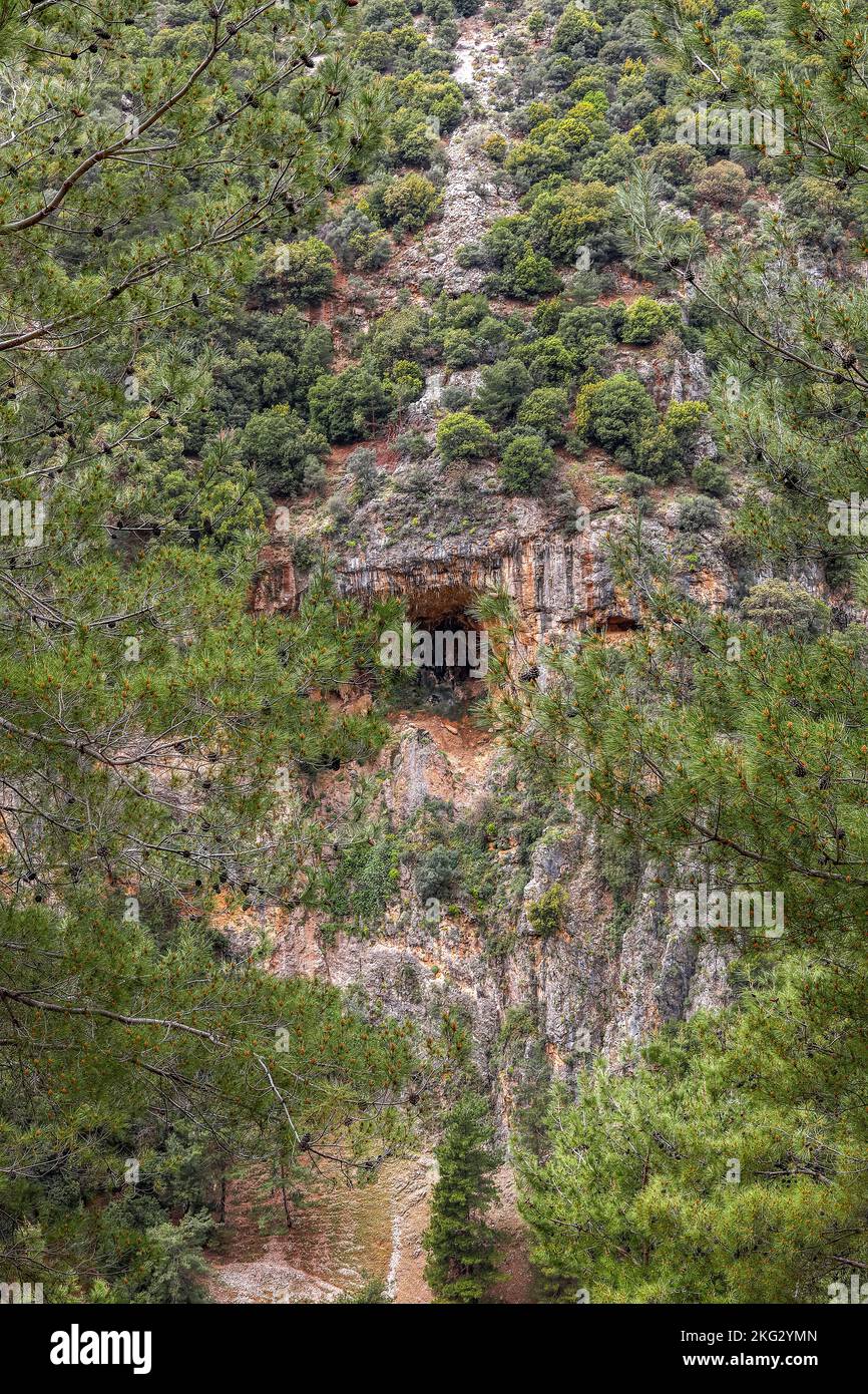 Kadisha hi-res stock photography and images - Alamy