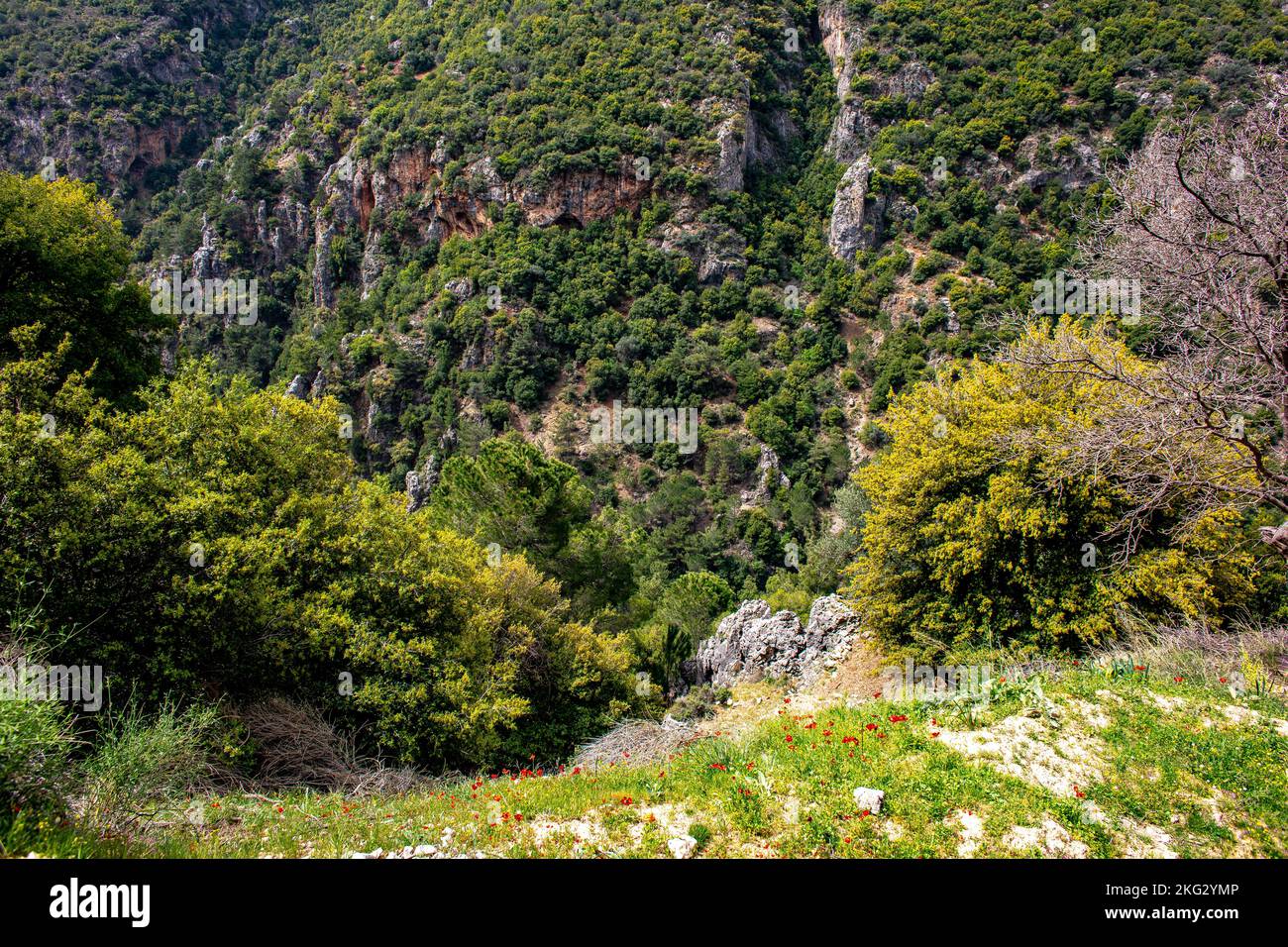 Kadisha valley hi-res stock photography and images - Alamy