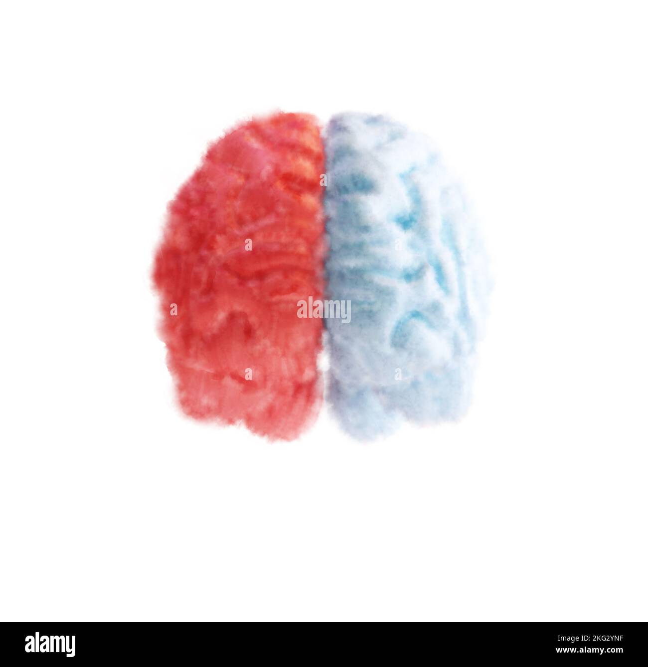 Human brain lobes hi-res stock photography and images - Alamy