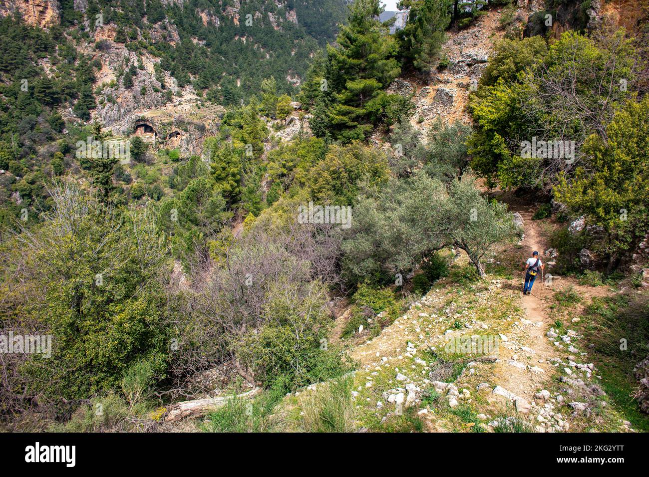 Pilgrim walking in the Qadisha sacred valley of northern Lebanon Stock ...