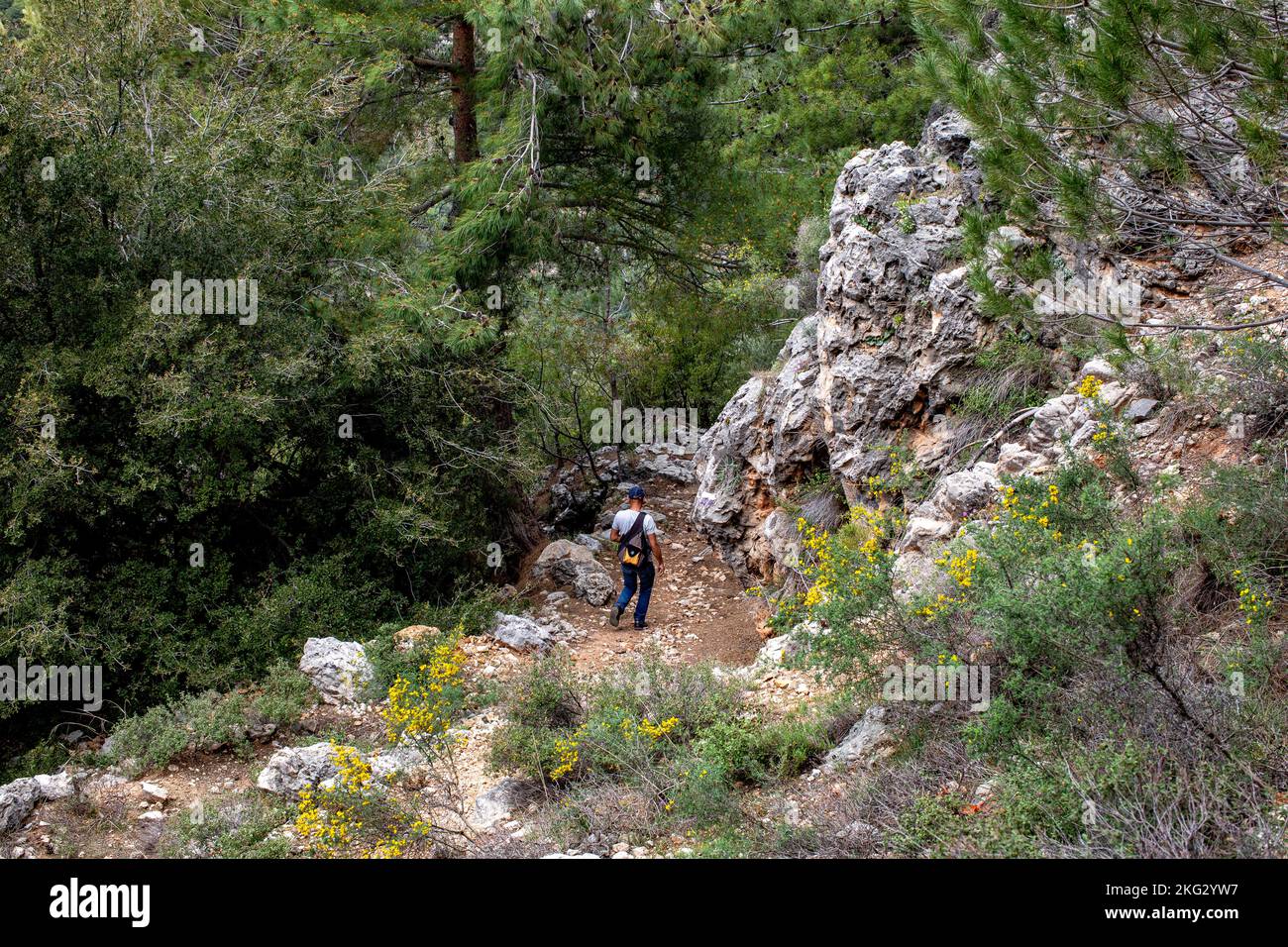 Pilgrim walking in the Qadisha sacred valley of northern Lebanon Stock ...