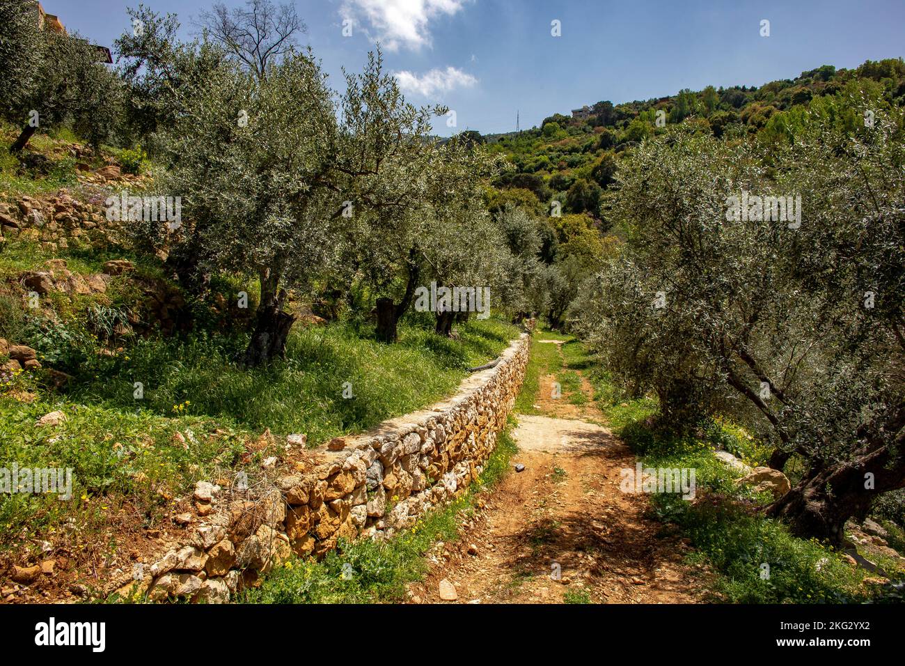 Landscape in Houmal, Lebanon Stock Photo - Alamy