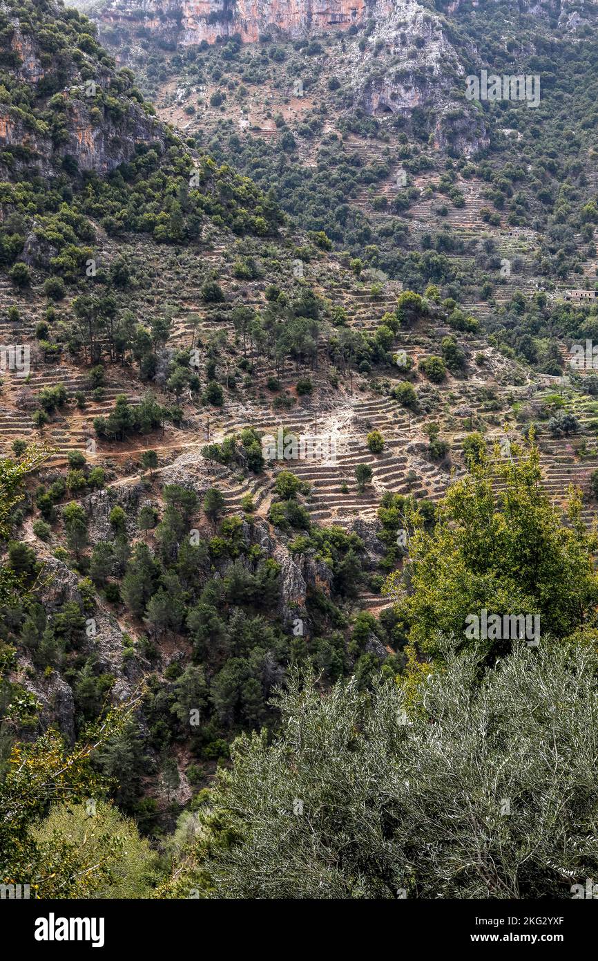 Qadisha valley hi-res stock photography and images - Alamy