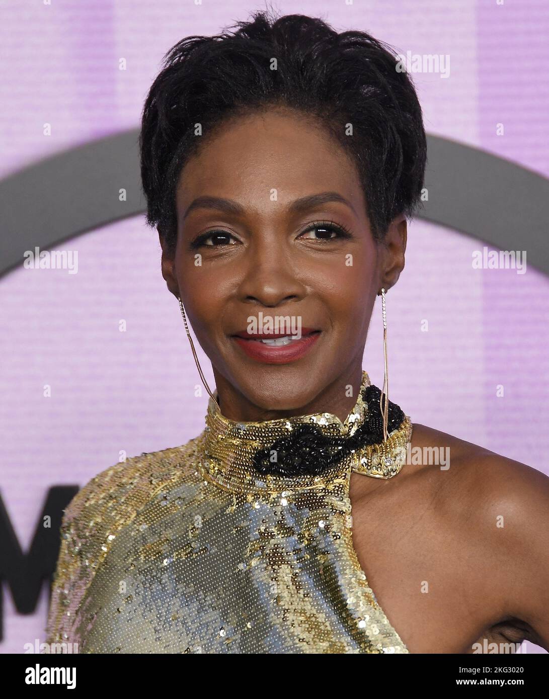 Roshumba Williams arrives at the 2022 American Music Awards held at the ...