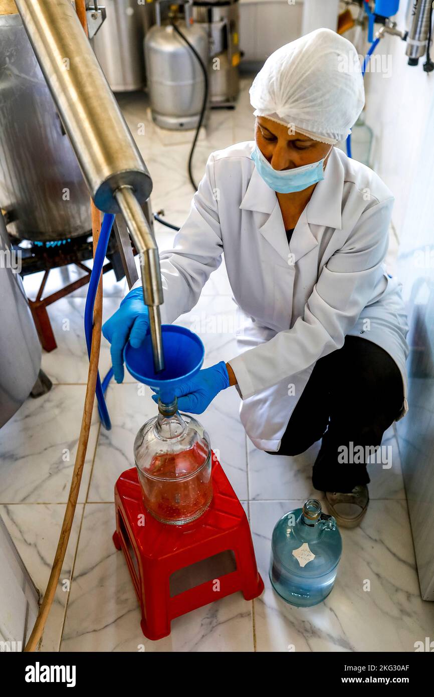 Cooperative making food products in Mhaydseh, Bekaa, Lebanon. Orange ...