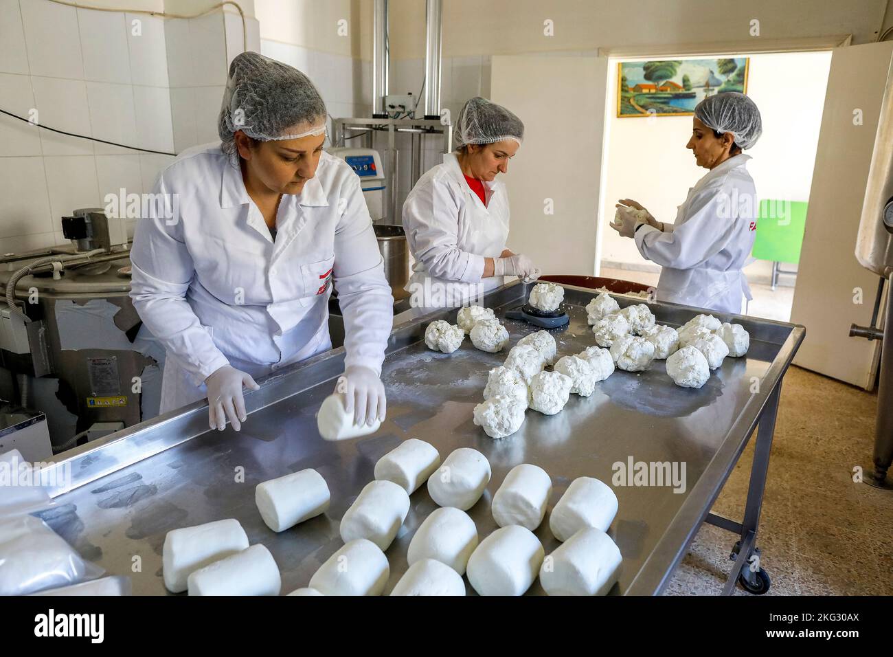 Dairy product cooperative in Aita el-Fekha, Bekaa, Lebanon. Making ...