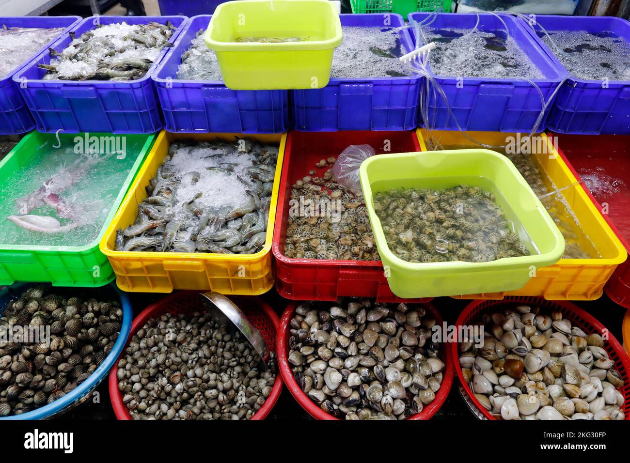 Fresh sea food on market counter. Fishes and shells. Phnom Penh ...