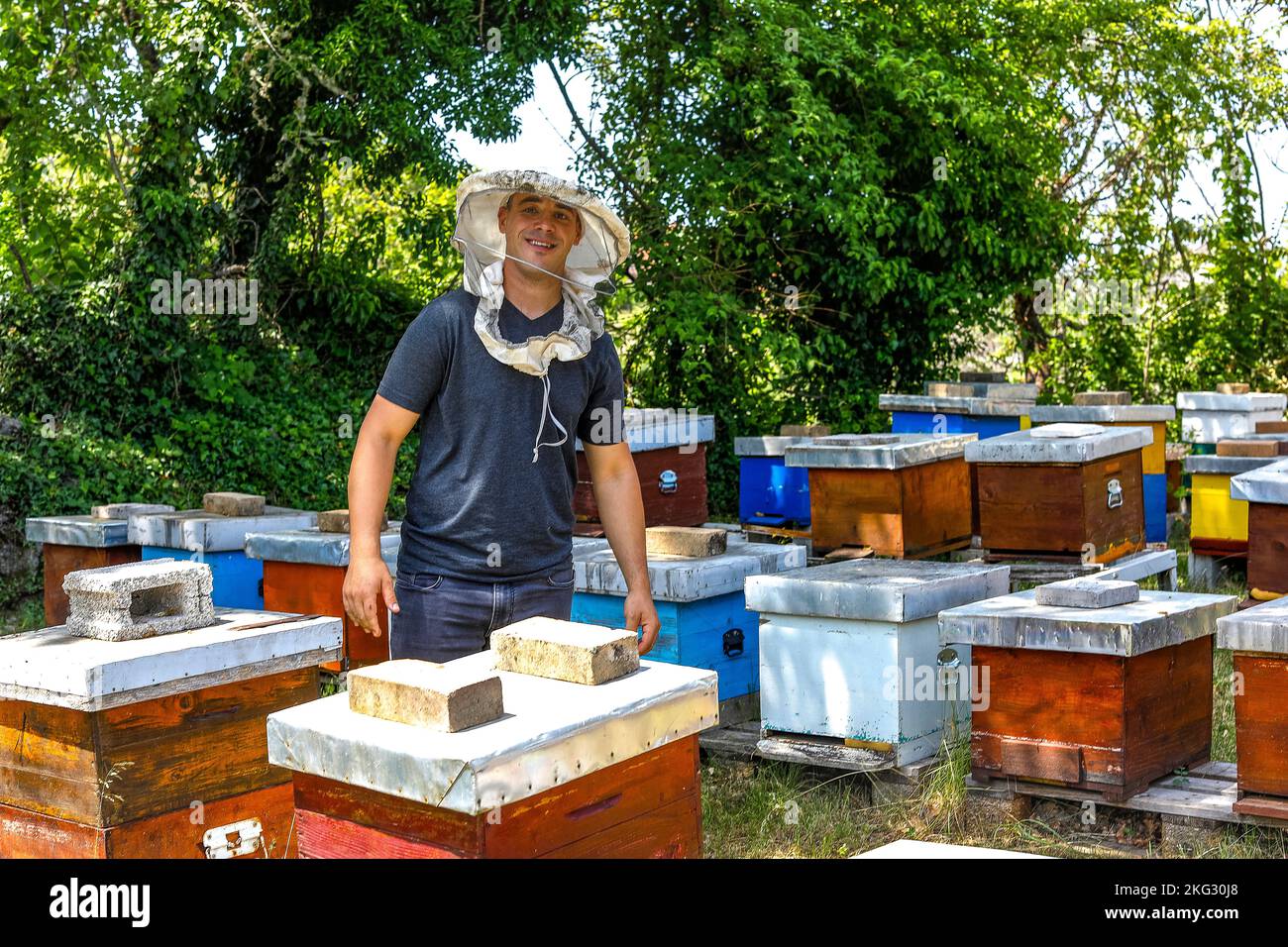 Beekeeper in Ubli, Montenegro Stock Photo - Alamy