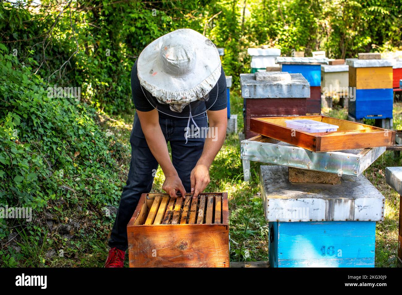 Beekeeper in Ubli, Montenegro Stock Photo - Alamy