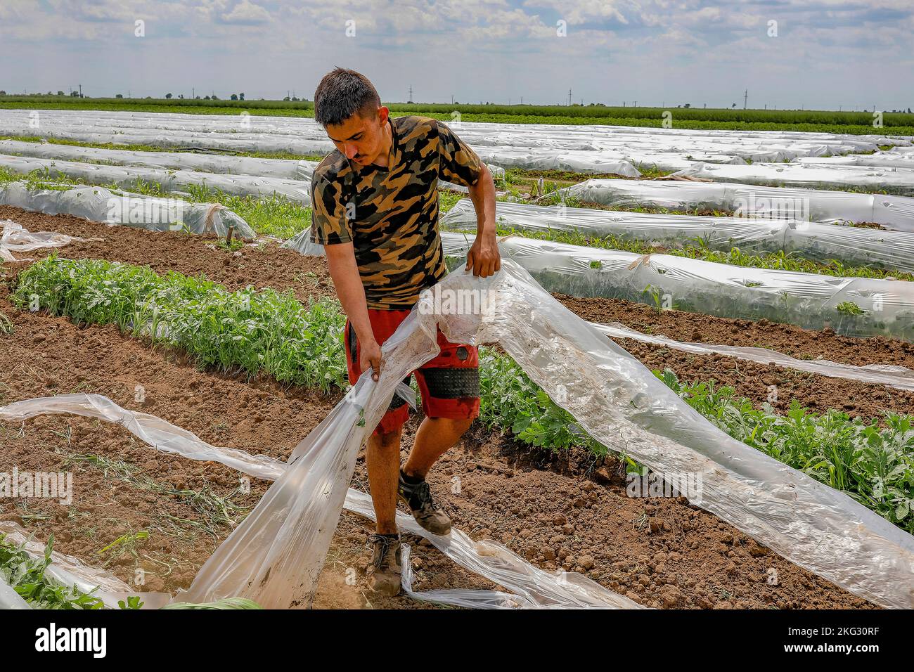 Agriculture de roumanie hi-res stock photography and images - Alamy
