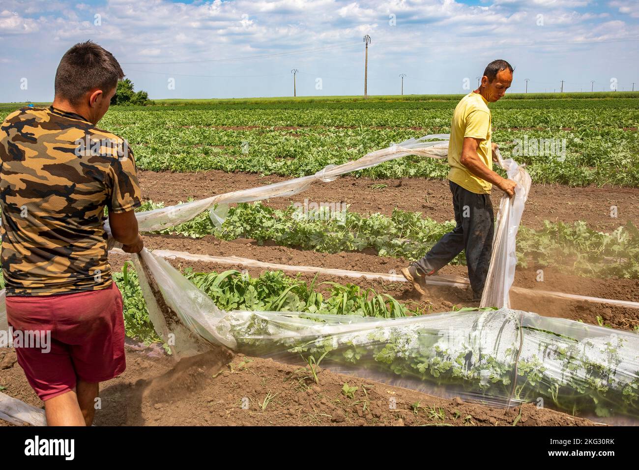 Agriculture de roumanie hi-res stock photography and images - Alamy