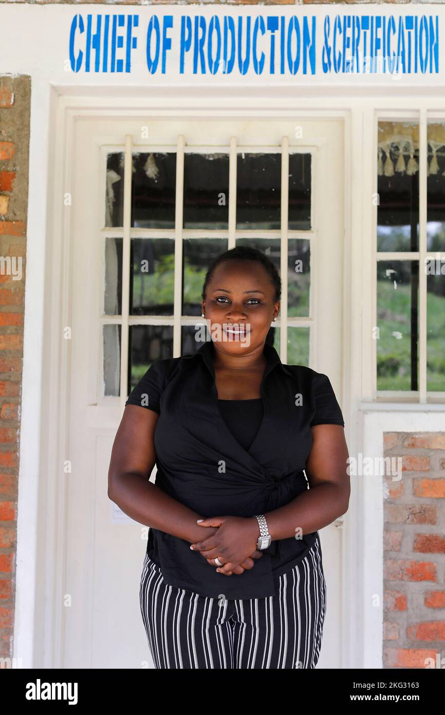 Kopakama coffee grower's cooperative, Rutsiro, Rwanda. Chief of ...