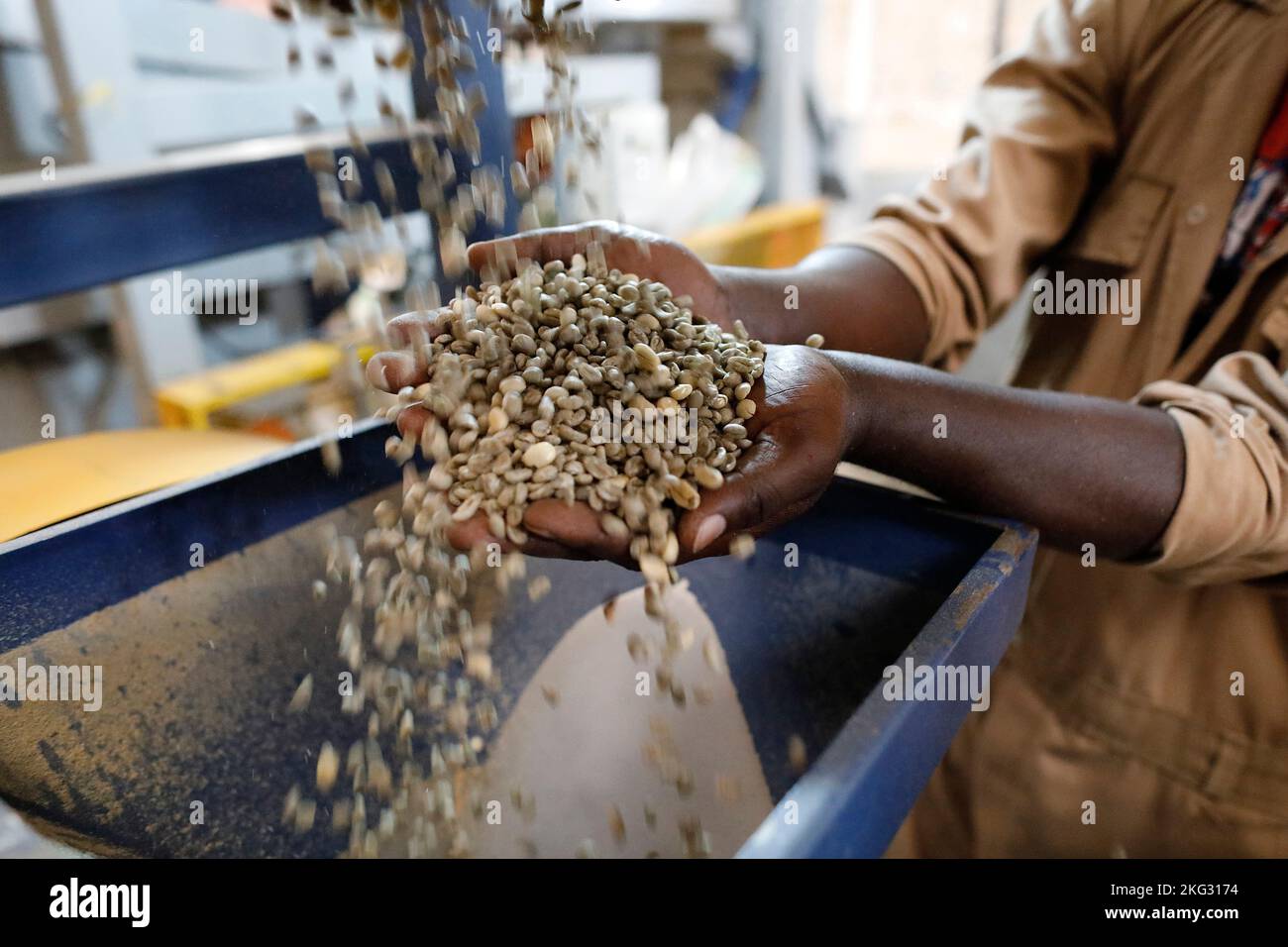 Kopakama coffee grower's cooperative, Rutsiro, Rwanda. Dry mill Stock ...