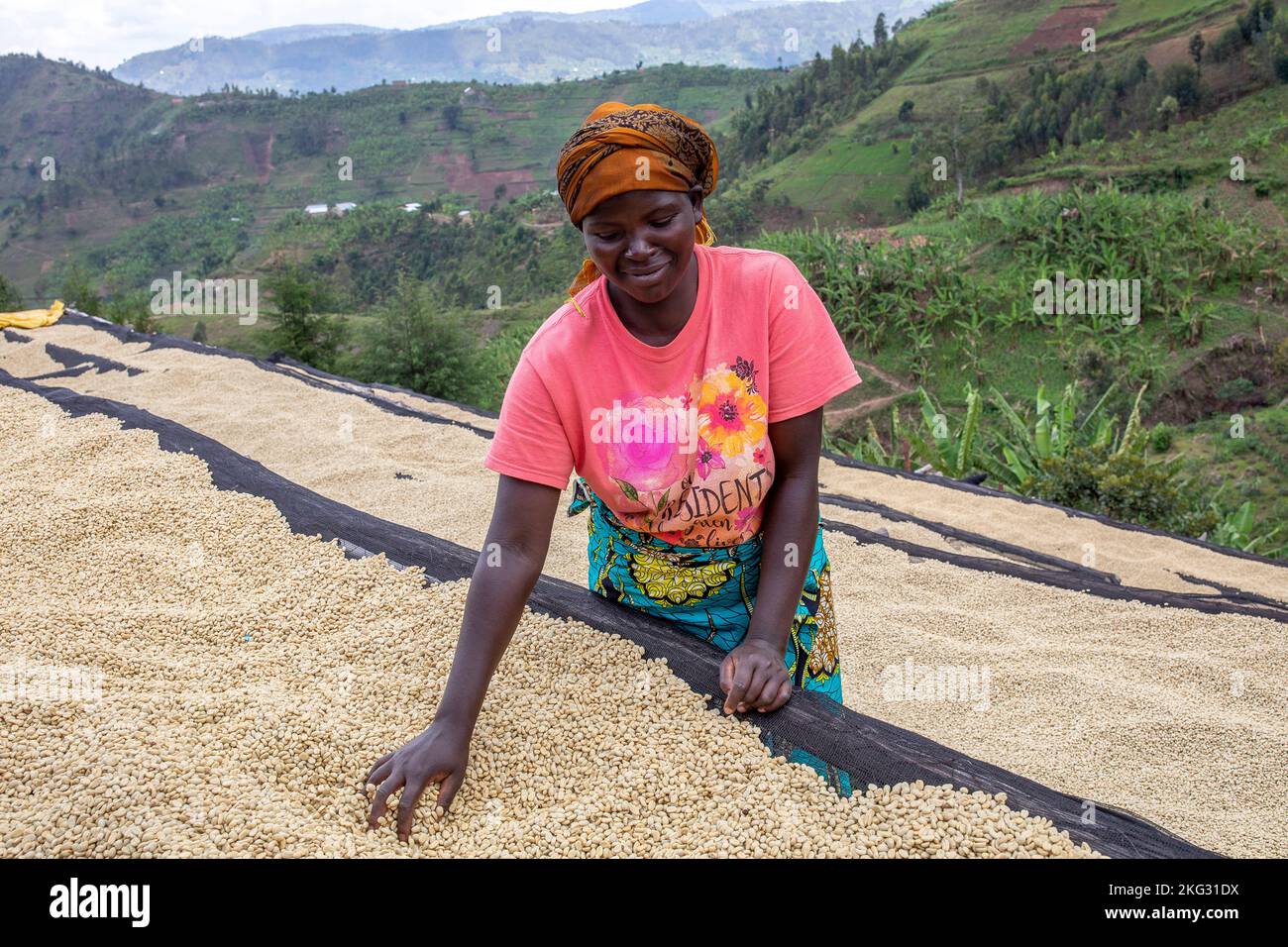 Minazi coffee washing station hi-res stock photography and images - Alamy