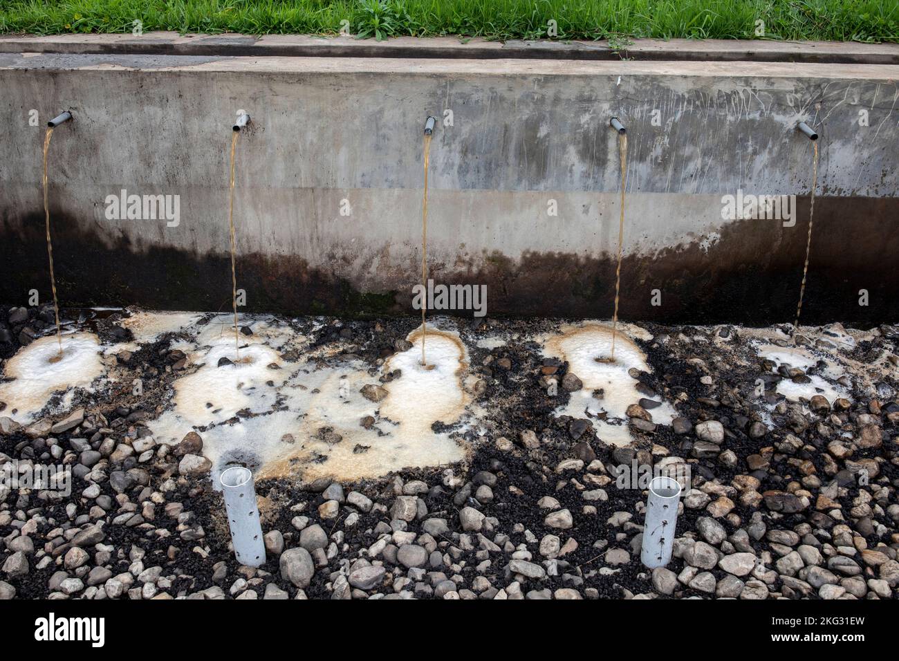Abakundakawa coffee grower's cooperative, Minazi coffee washing station ...