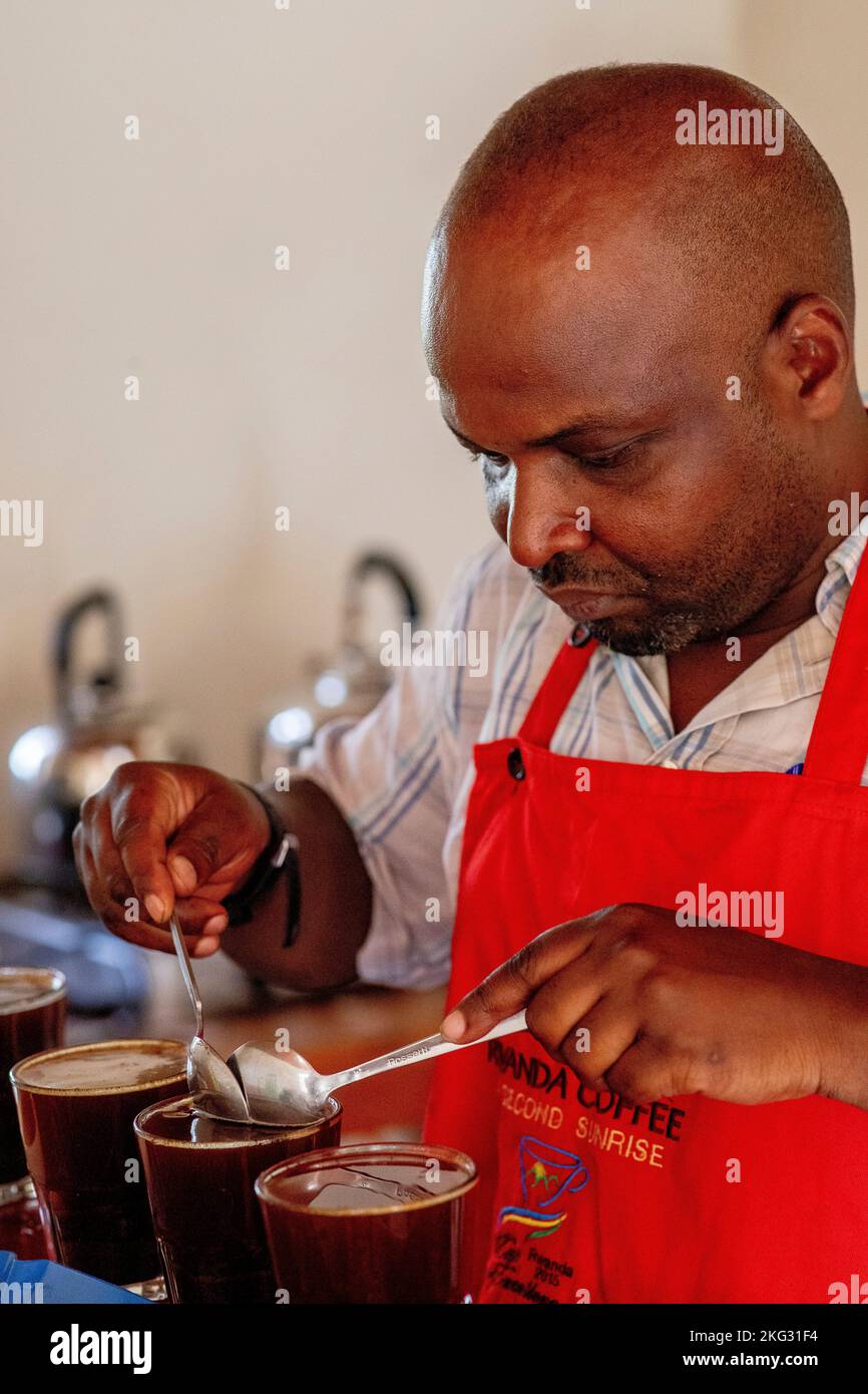 Cupping lab, coffee tasting session, Kigali, Rwanda Stock Photo - Alamy