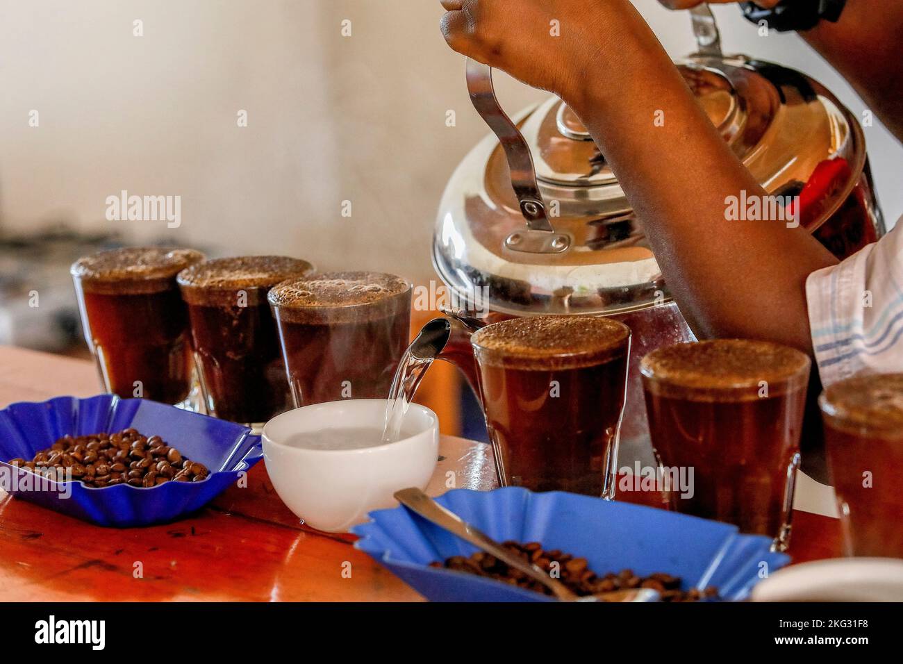 Cupping lab, coffee tasting session, Kigali, Rwanda Stock Photo - Alamy
