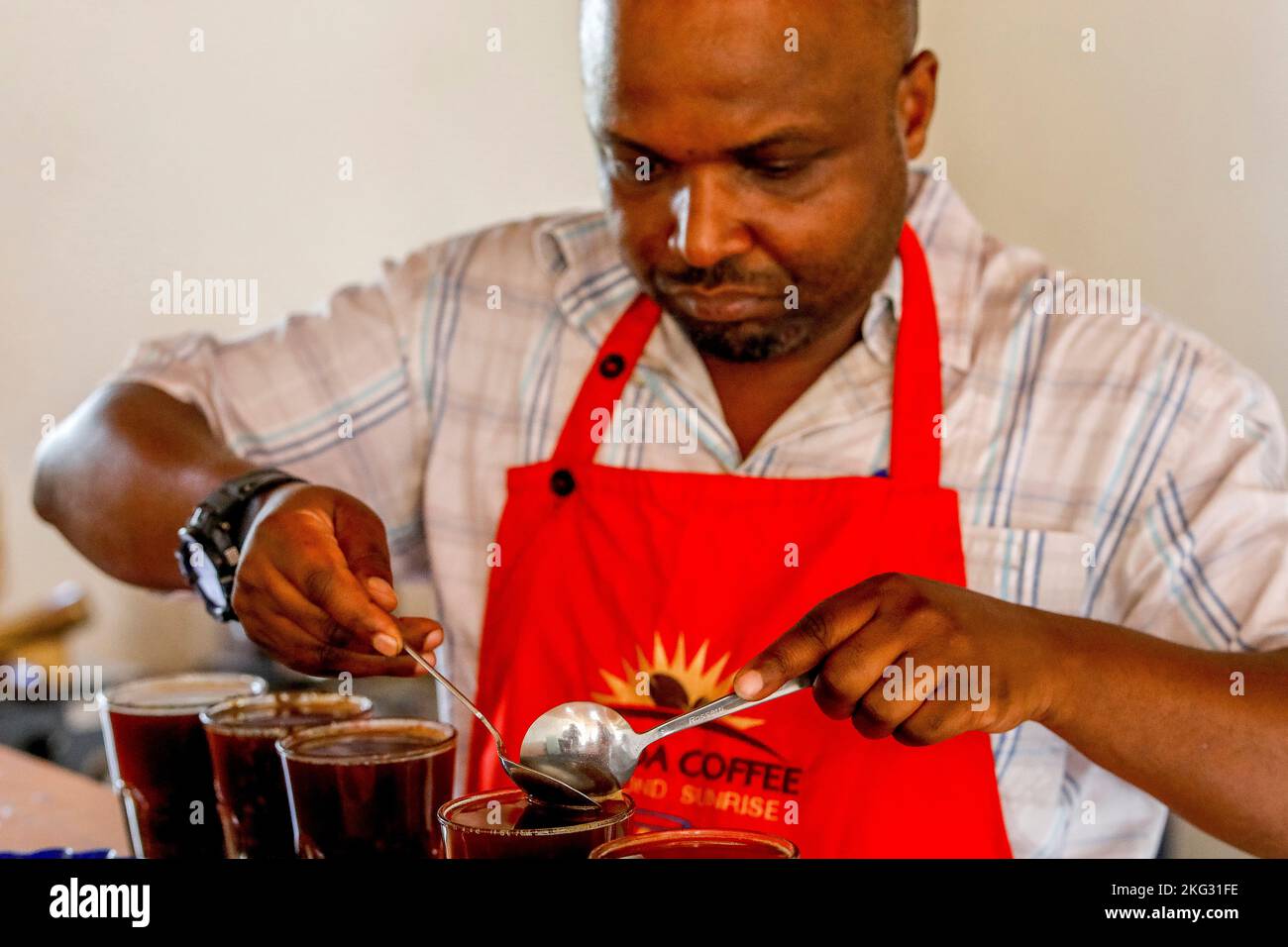 Cupping lab, coffee tasting session, Kigali, Rwanda Stock Photo - Alamy