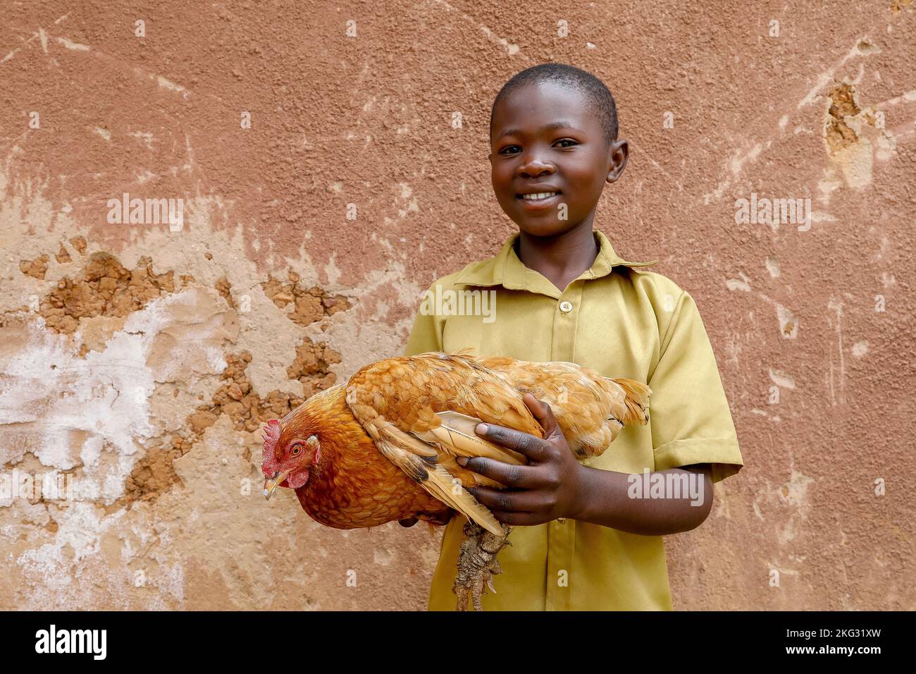 Boy holding a chicken in a village near Gicumbi, northern province ...