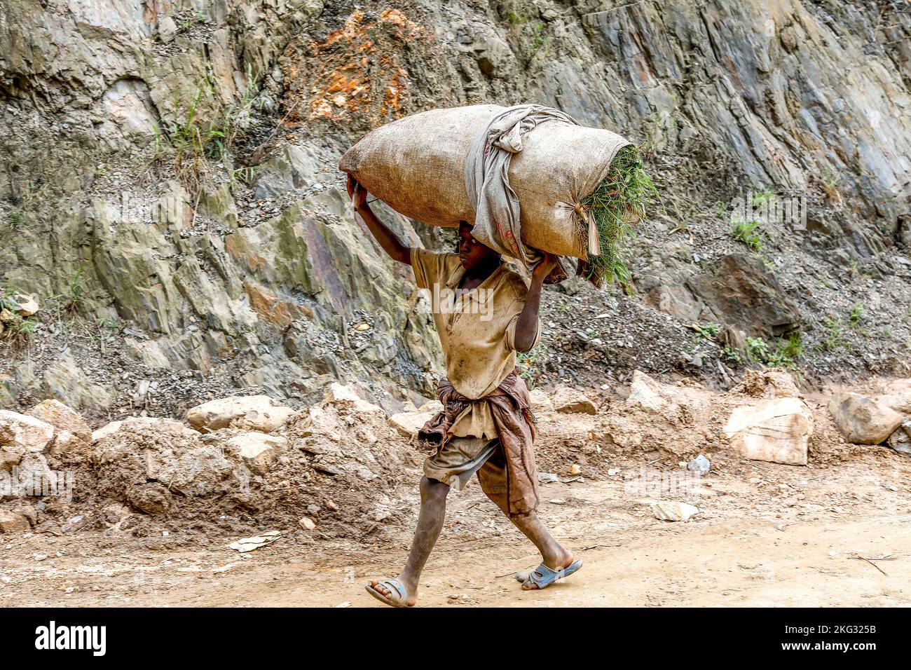 Boy carrying fodder on his head in western Rwanda Stock Photo - Alamy