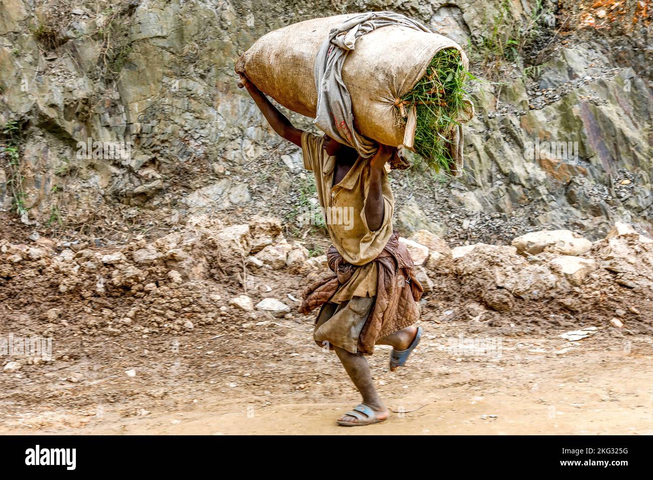 Boy carrying fodder on his head in western Rwanda Stock Photo - Alamy
