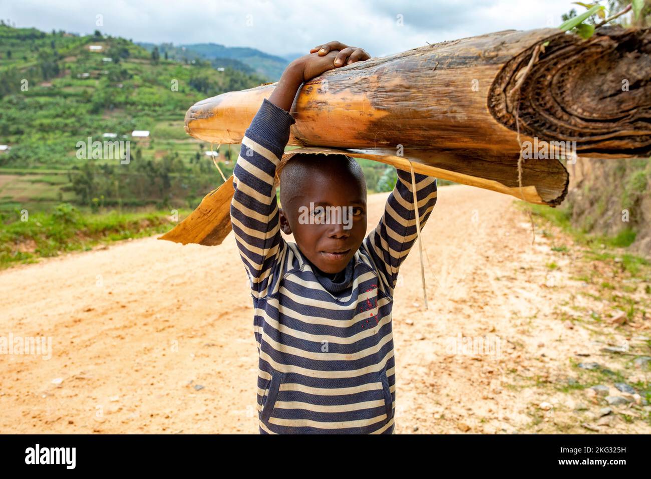 Boy carrying a tree bark in western Rwanda Stock Photo - Alamy