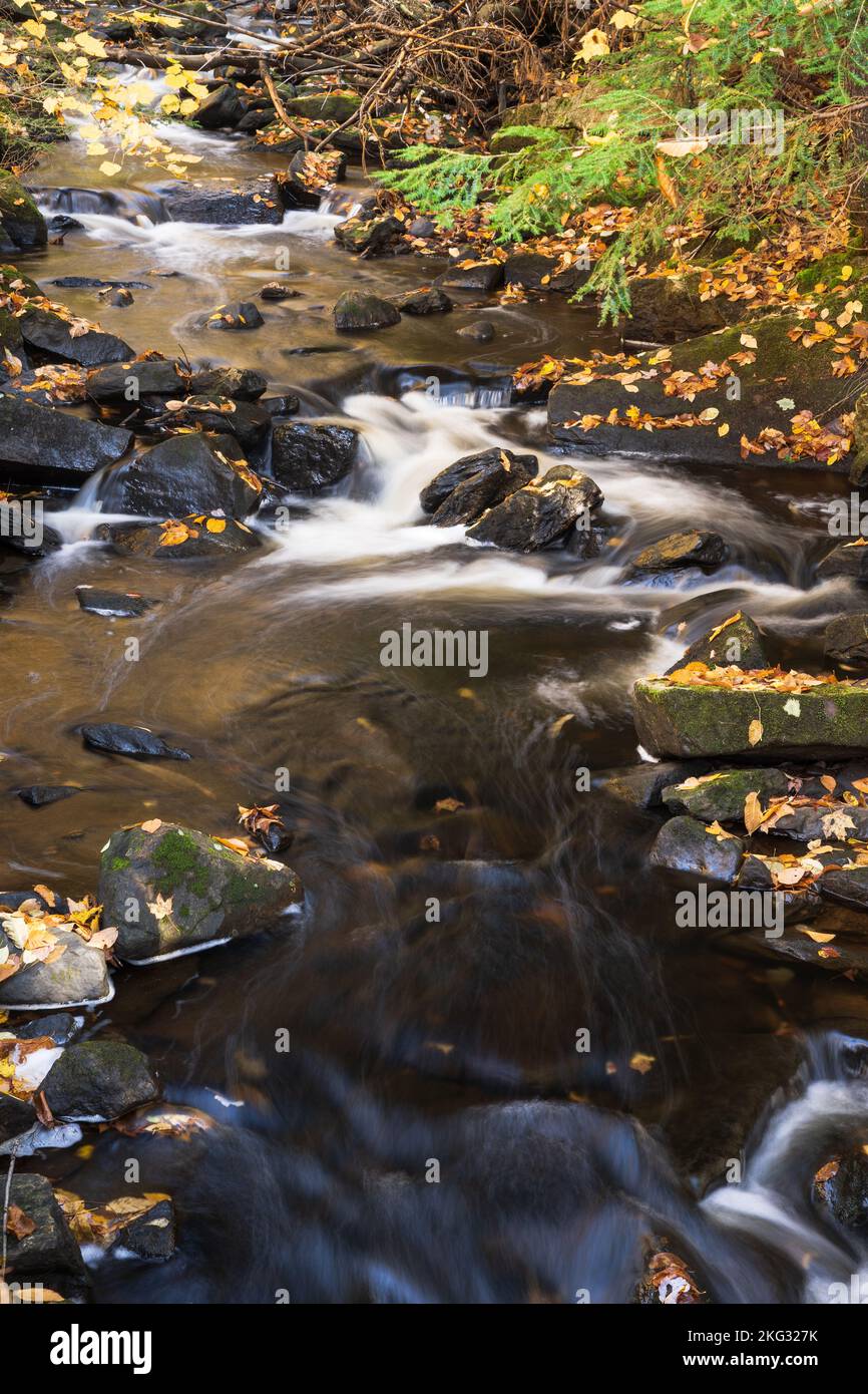 New England Stream in Autumn Stock Photo - Alamy