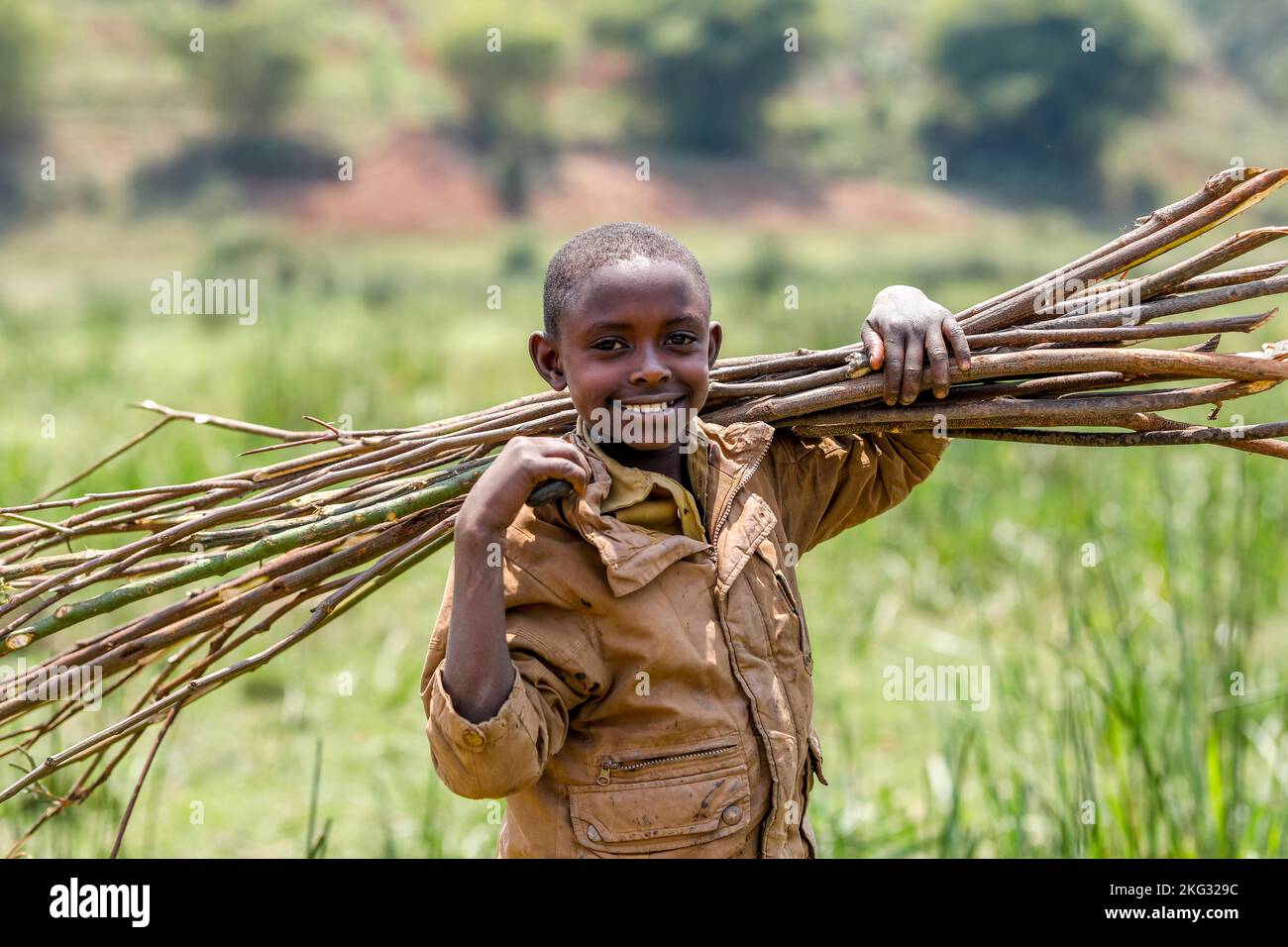 Boy carrying wood, Nyabarongo river valley, Muhanga district, Rwanda ...