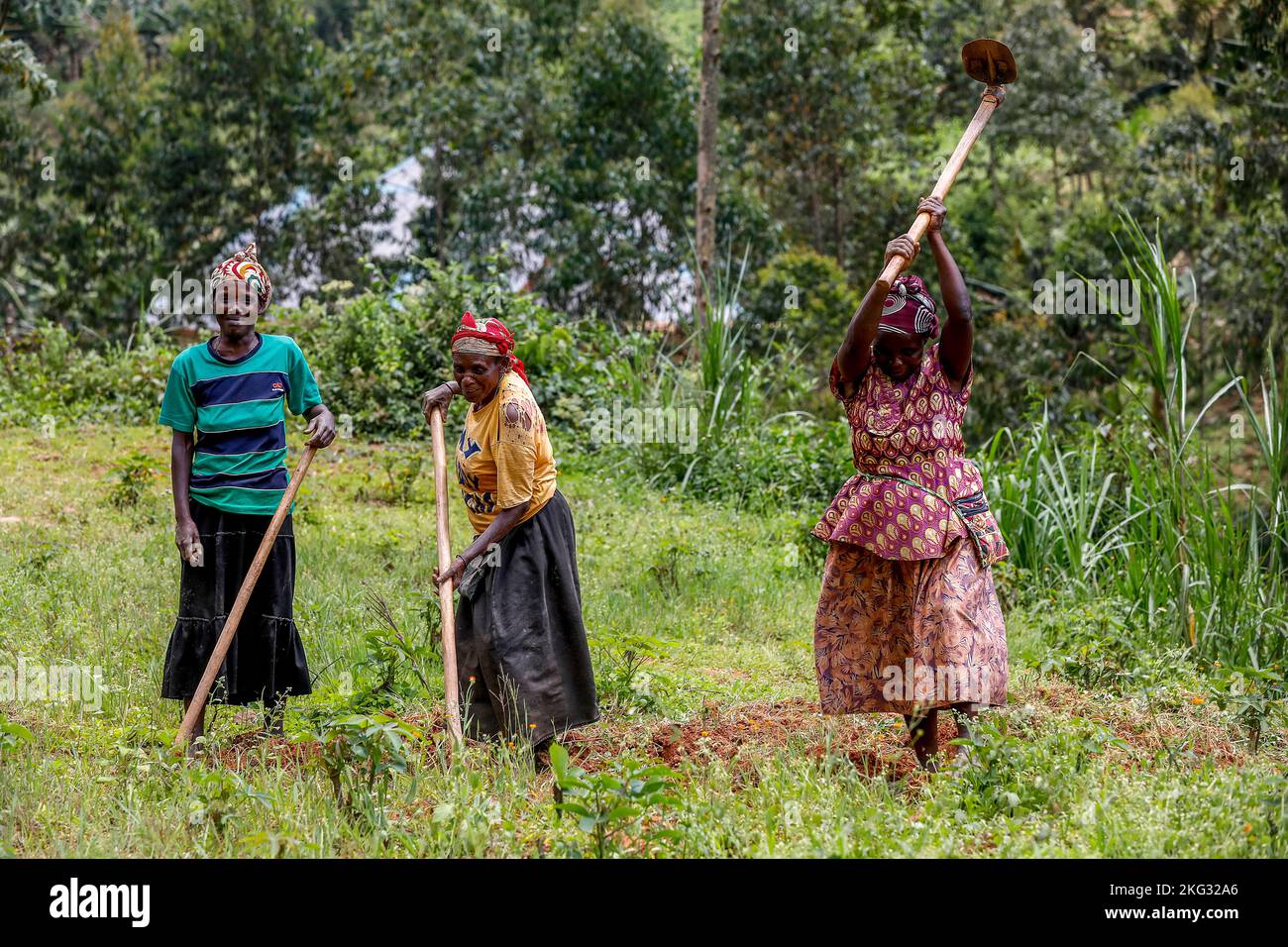 Human Adaptation In Equatorial Region