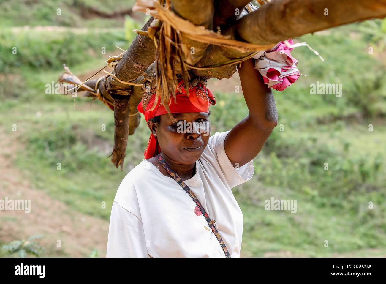 African woman carrying firewood hi-res stock photography and images - Alamy