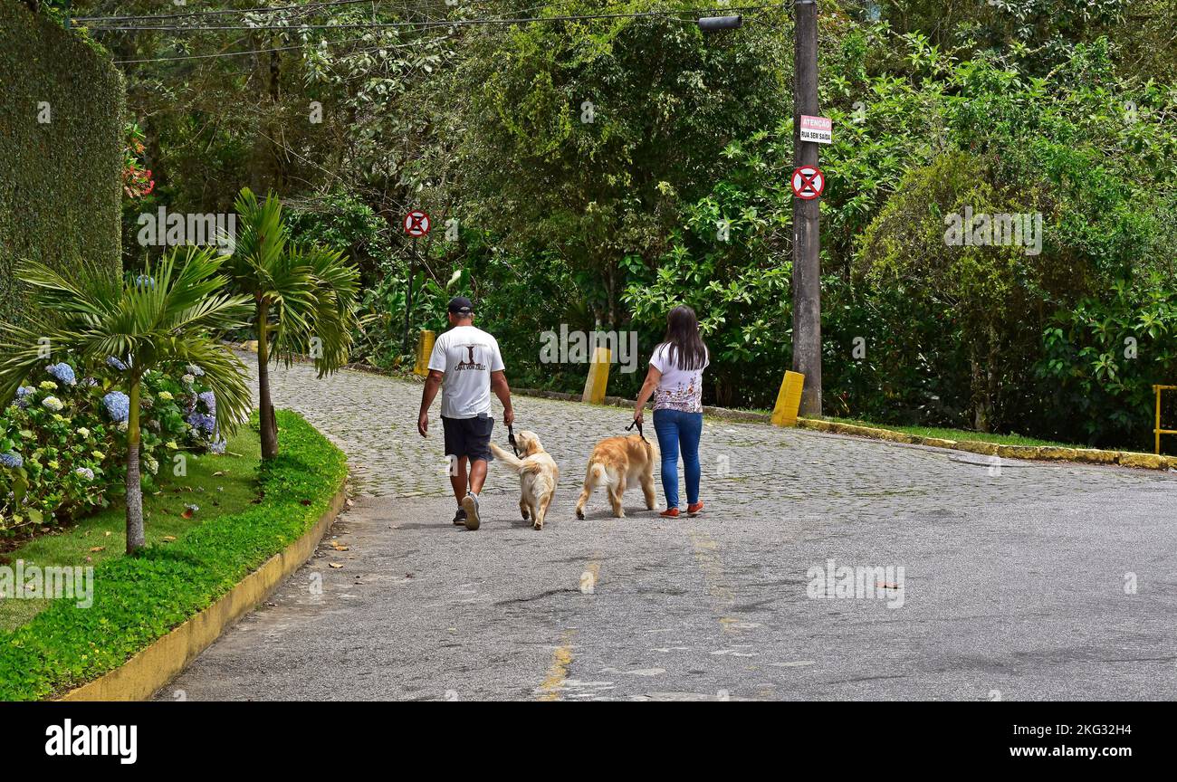 Brazilian pet hi-res stock photography and images - Alamy