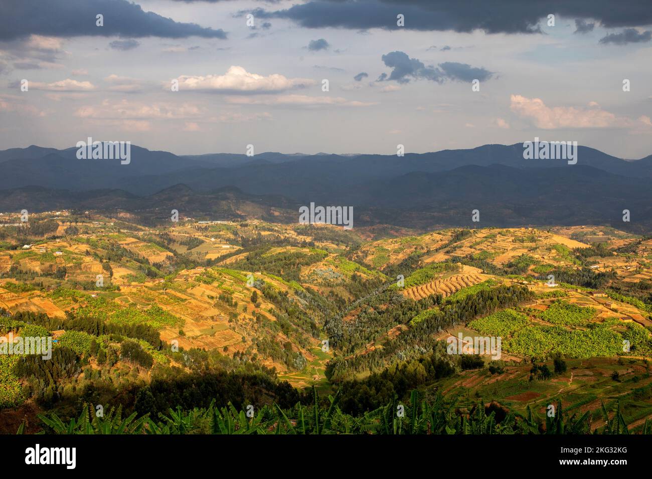 Hills in western Rwanda Stock Photo - Alamy