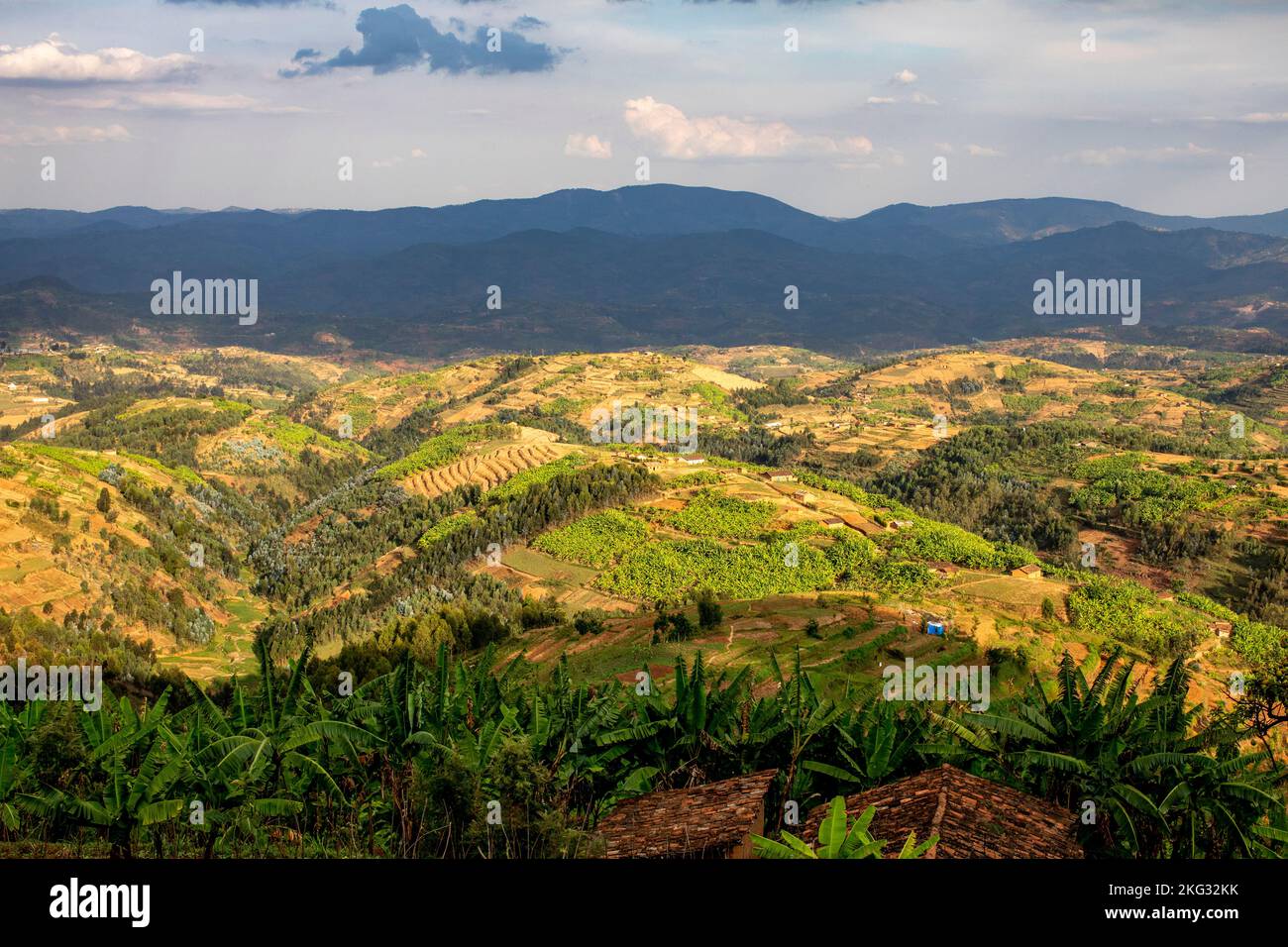 Hills in western Rwanda Stock Photo - Alamy