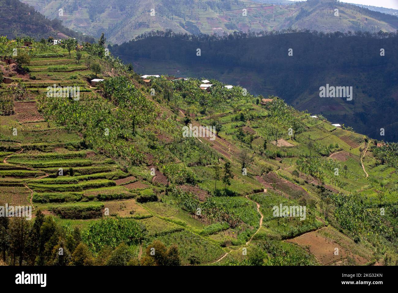 Northern Rwanda landscape Stock Photo - Alamy