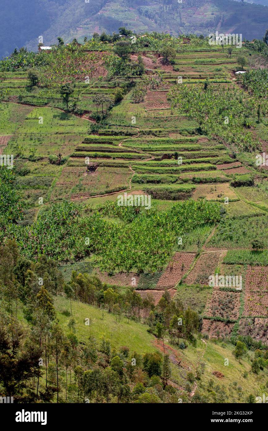 Northern Rwanda landscape Stock Photo - Alamy