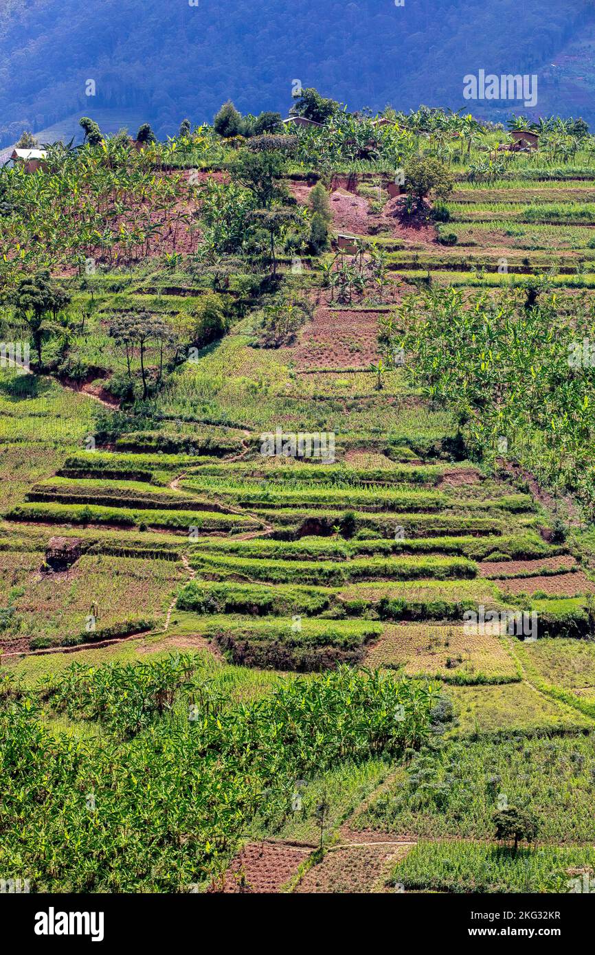 Rwanda landscape hi-res stock photography and images - Alamy