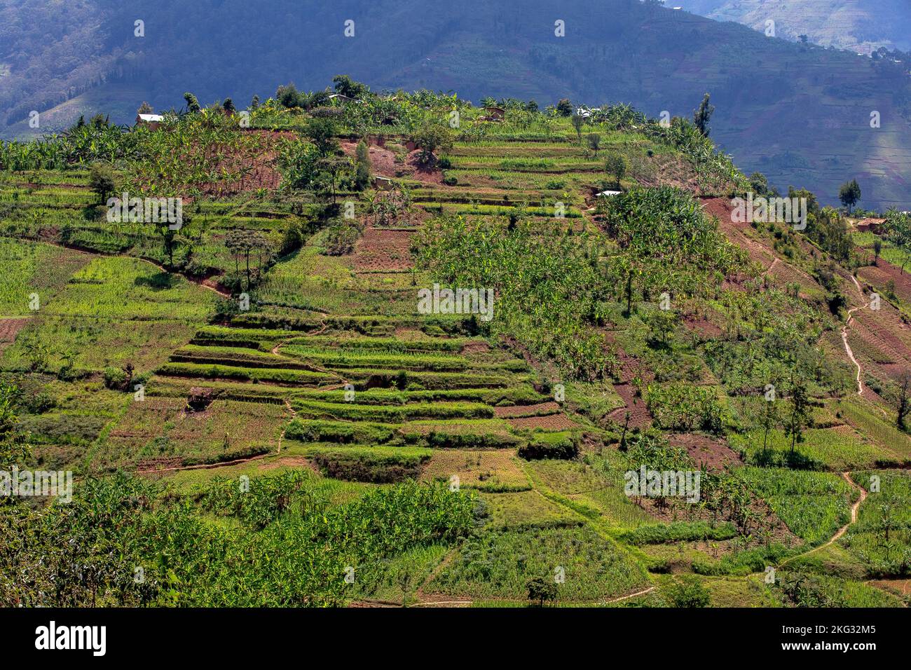 Northern Rwanda landscape Stock Photo - Alamy